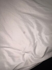 The bed sheets were stained and did not smell clean