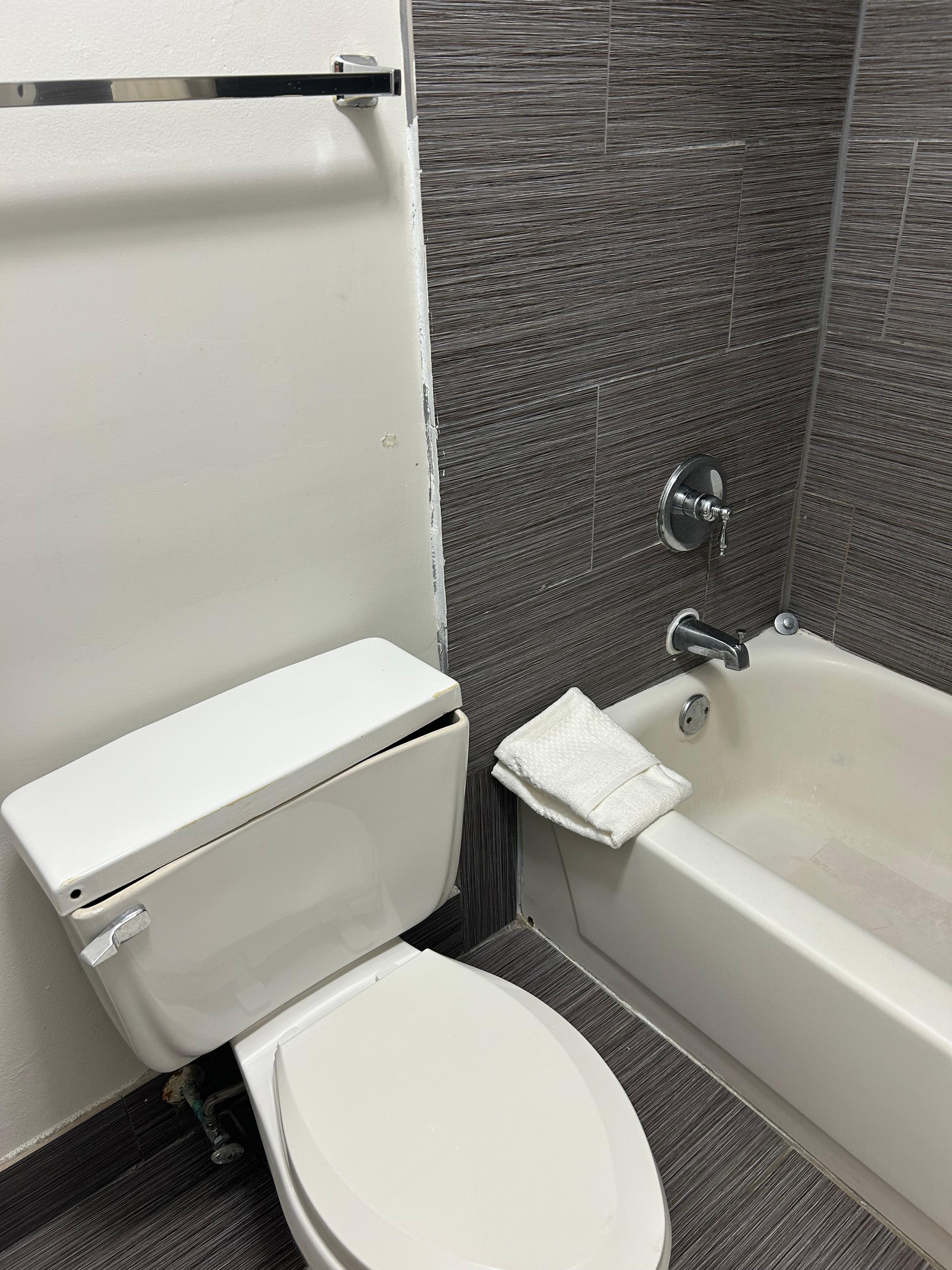 Lid didn’t cover toilet tank, hole at base of tub, inside bowl not cleaned with a brush as left over poo in 3 spots lifting lid.