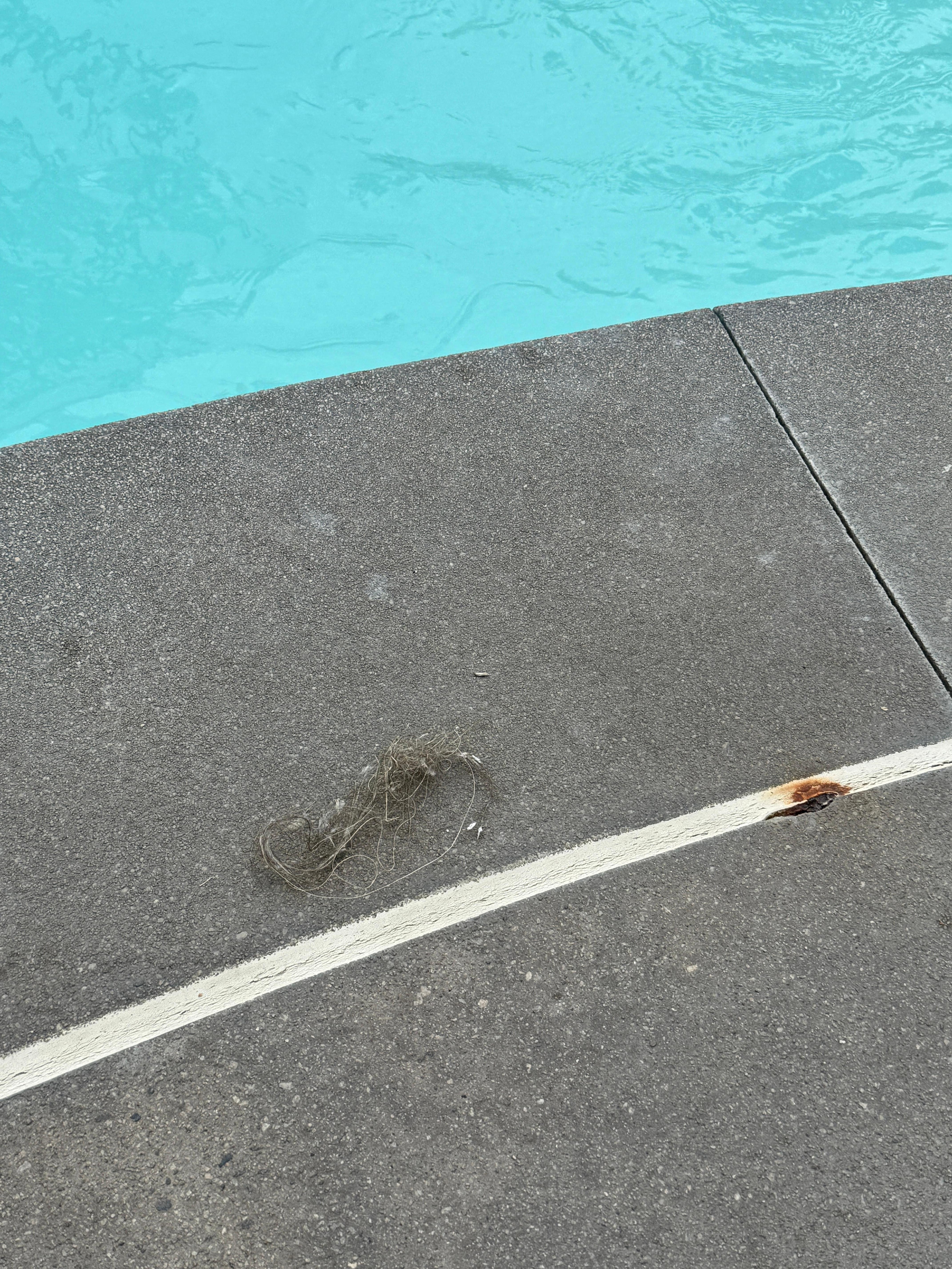 Dirty pool (this was taken at 8:00am, so there’s really no excuse for this!)