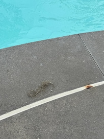 Dirty pool (this was taken at 8:00am, so there’s really no excuse for this!)