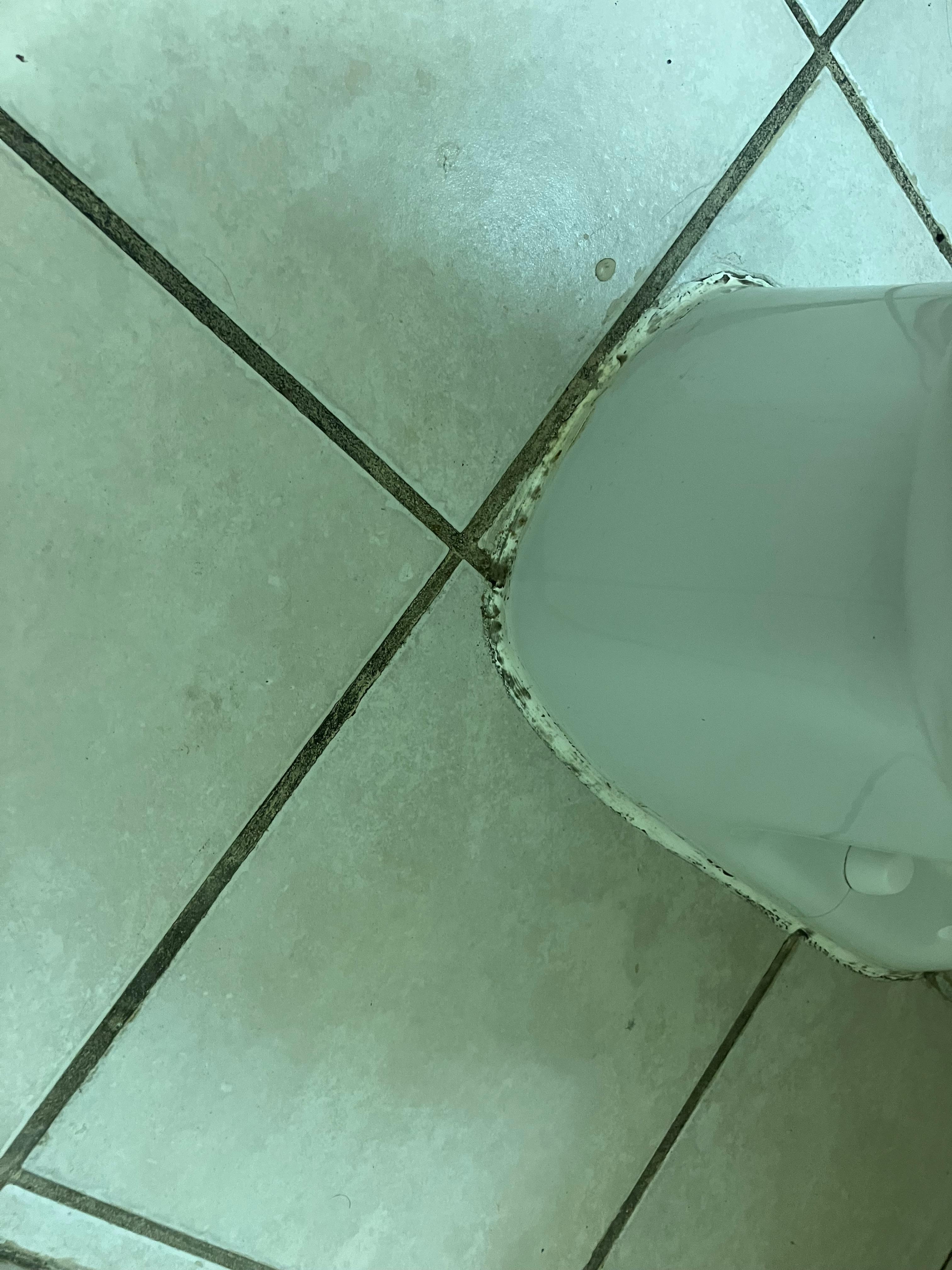 Toilet base