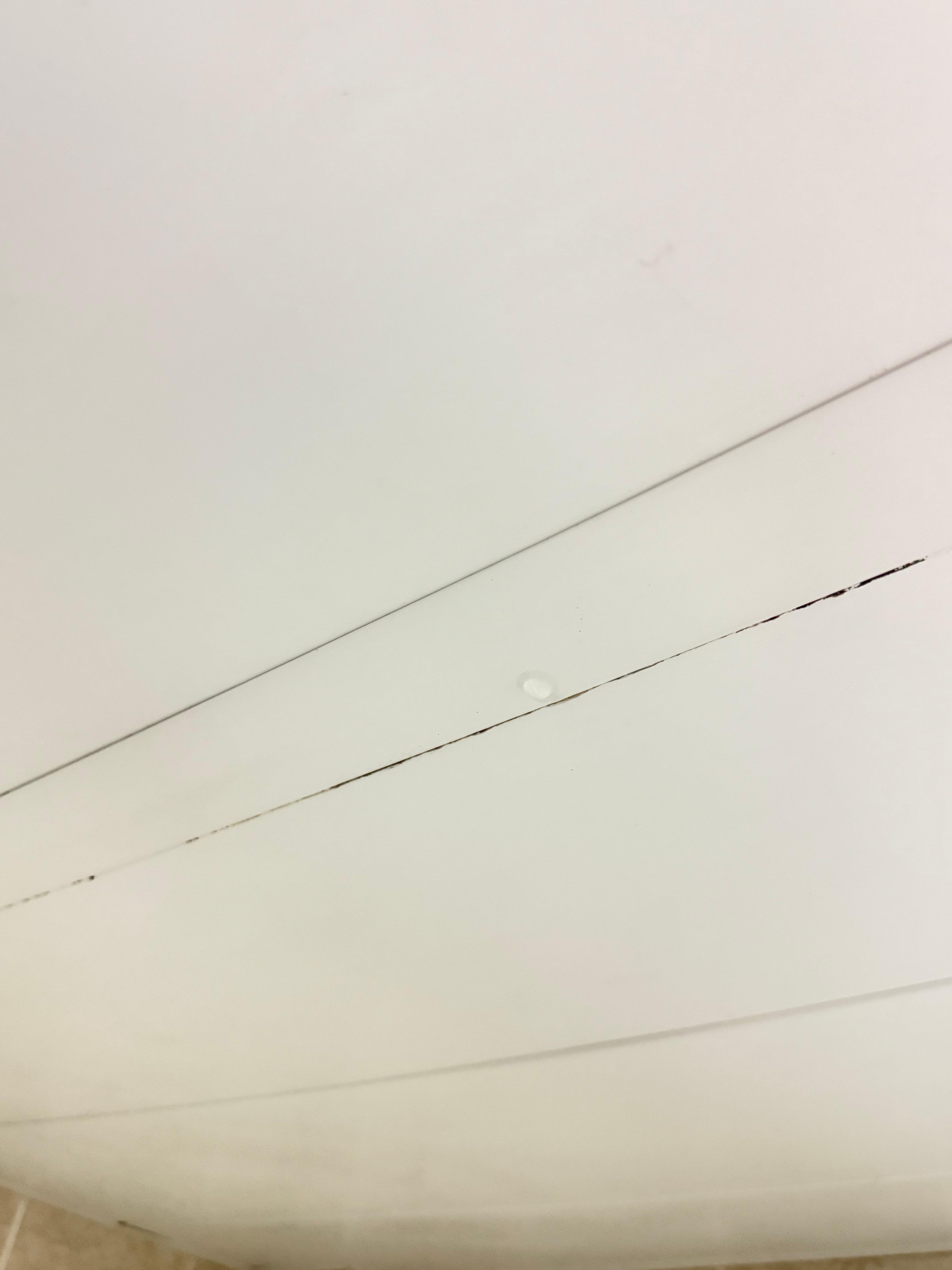 Gotera en el techo, del baño del piso de arriba 