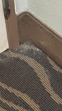 Carpet by door