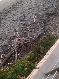 The beach is full of rubbish