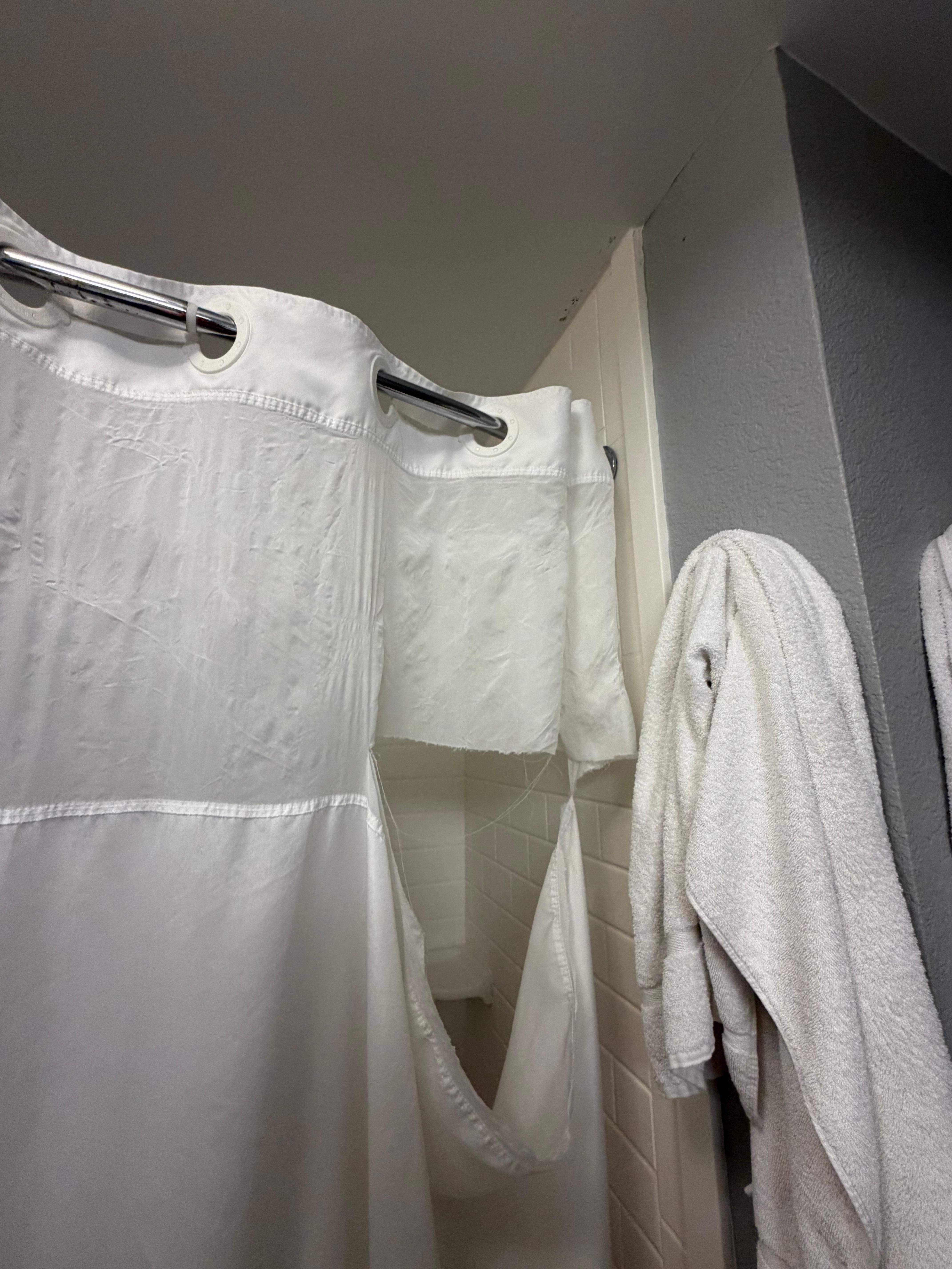 Beschädigter Duschvorhang. Der Teppich im Zimmer sah auch verbraucht aus. Das sind wir vom Hampton Inn nicht gewohnt.