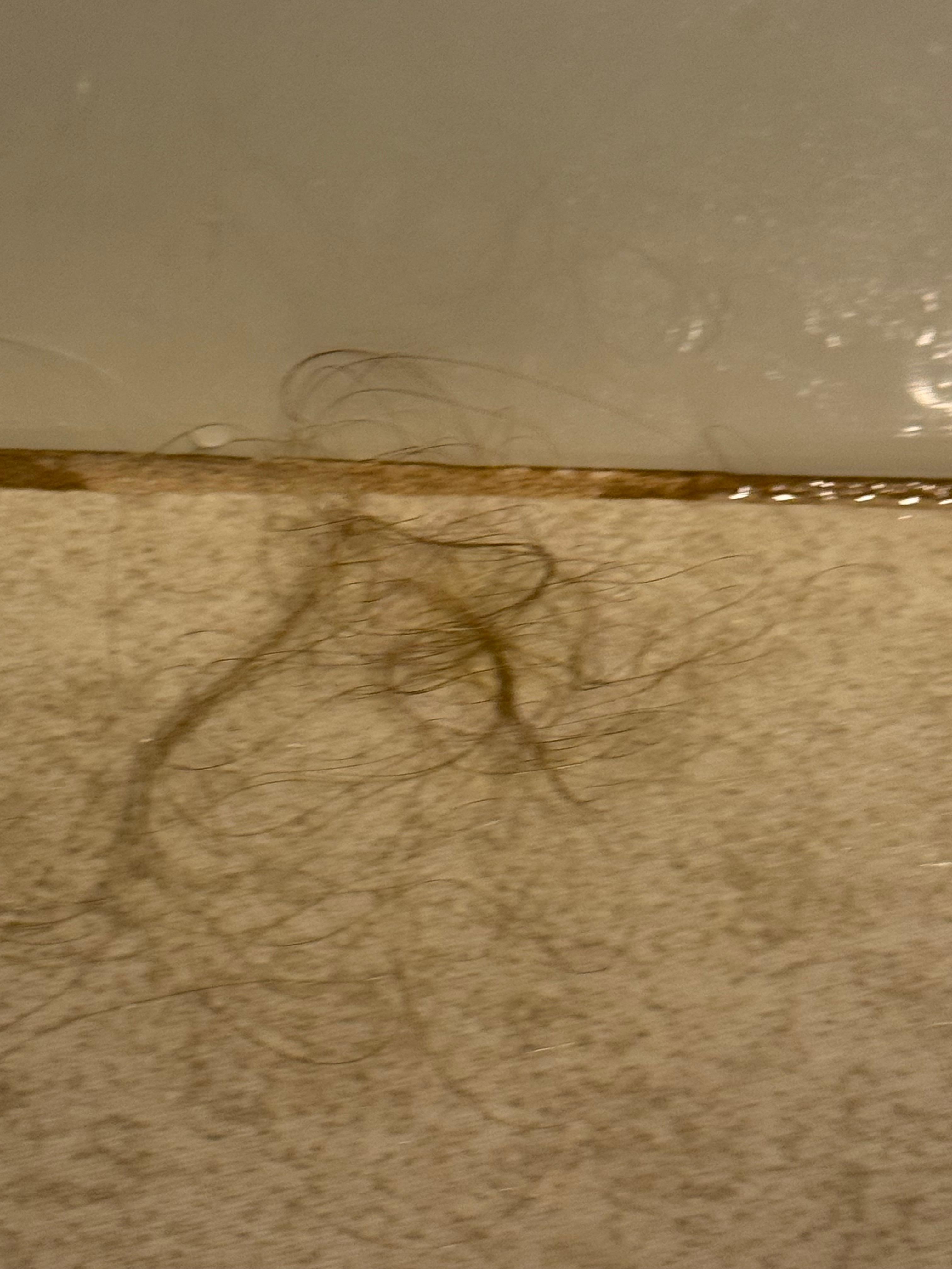 Clump of hair right outside the shower. 