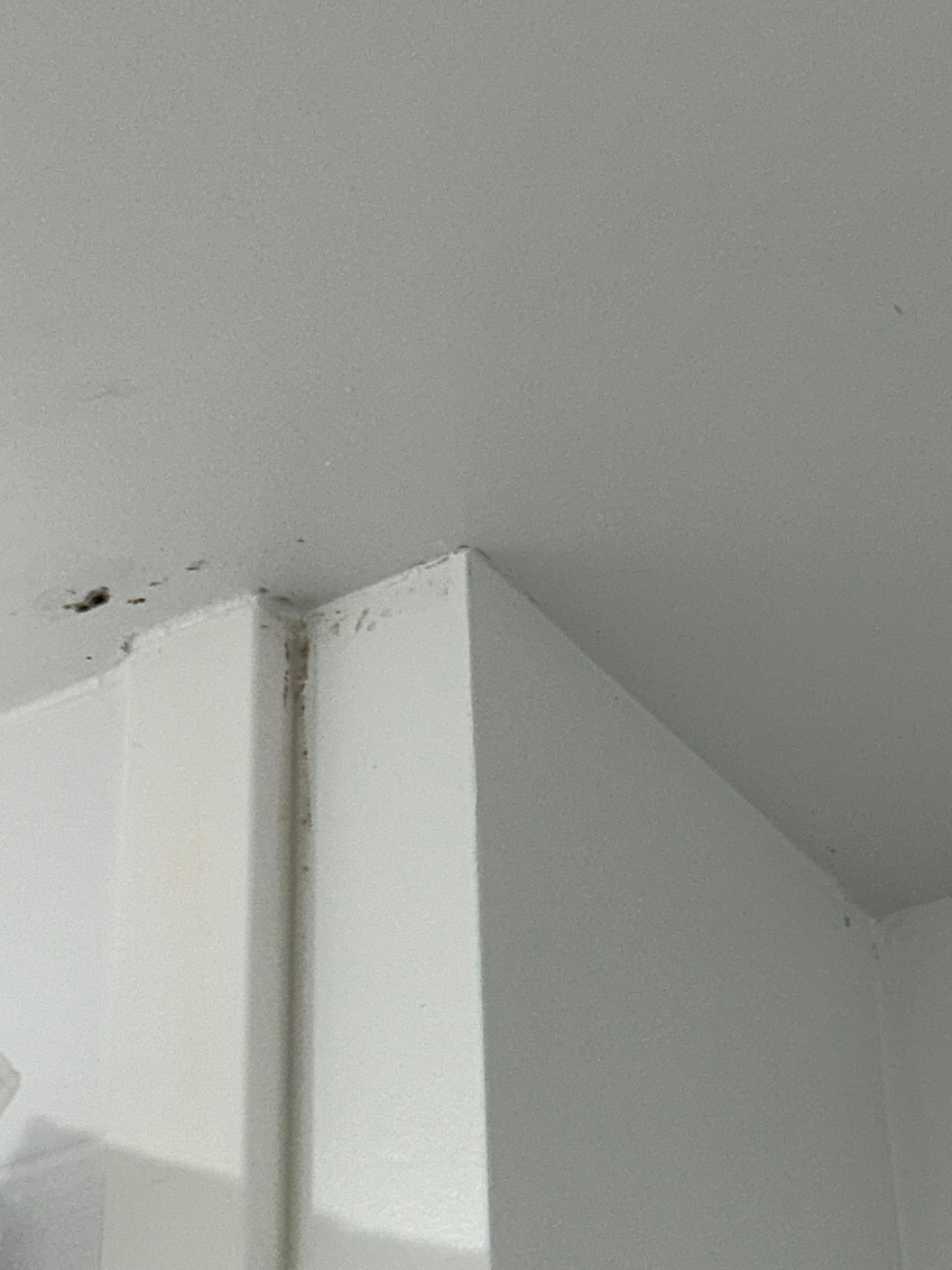 Mold