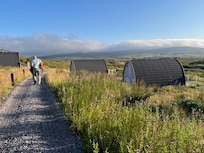 Cabins