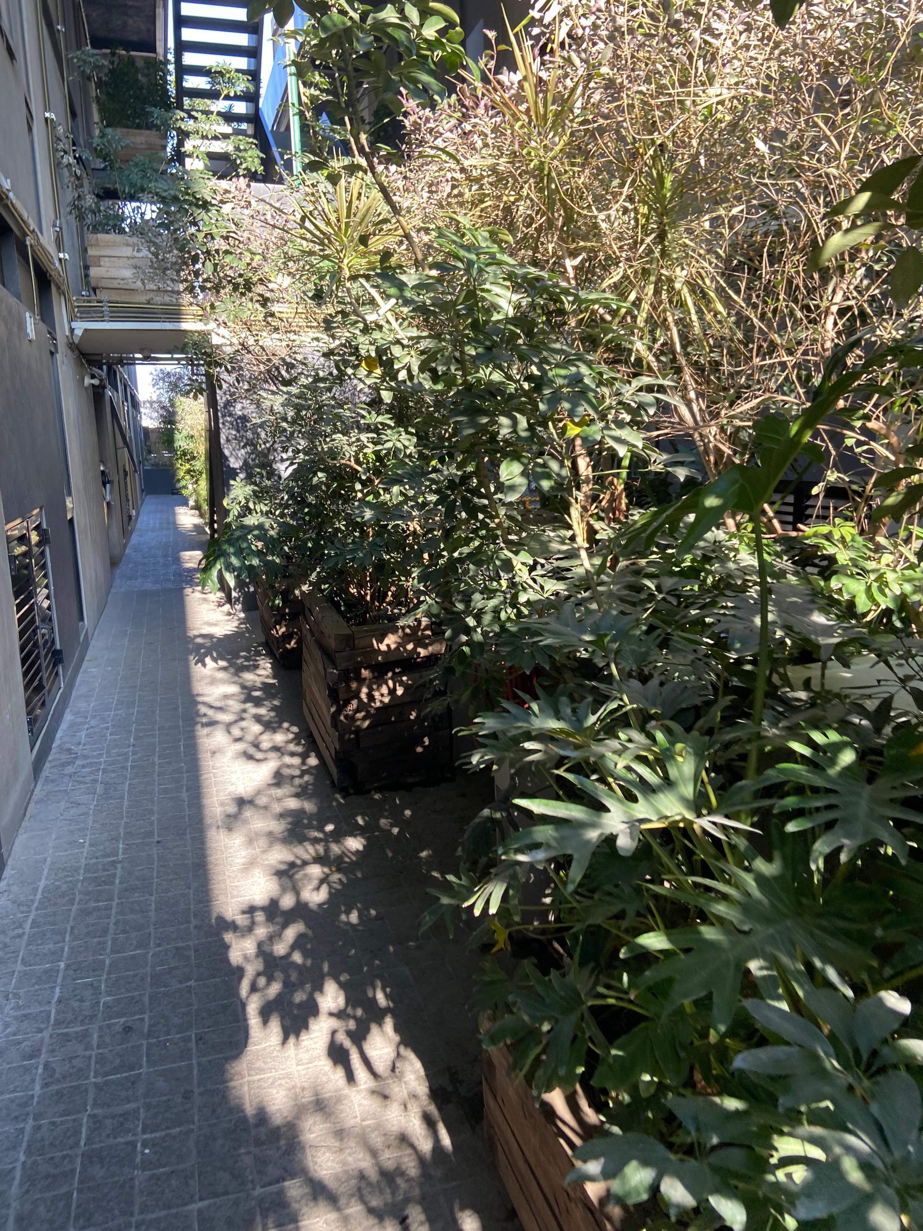 Pasillos llenos de plantas que impiden ver las multiples entradas a las habitaciones.