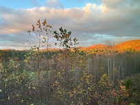 The view from my room! Lovely!