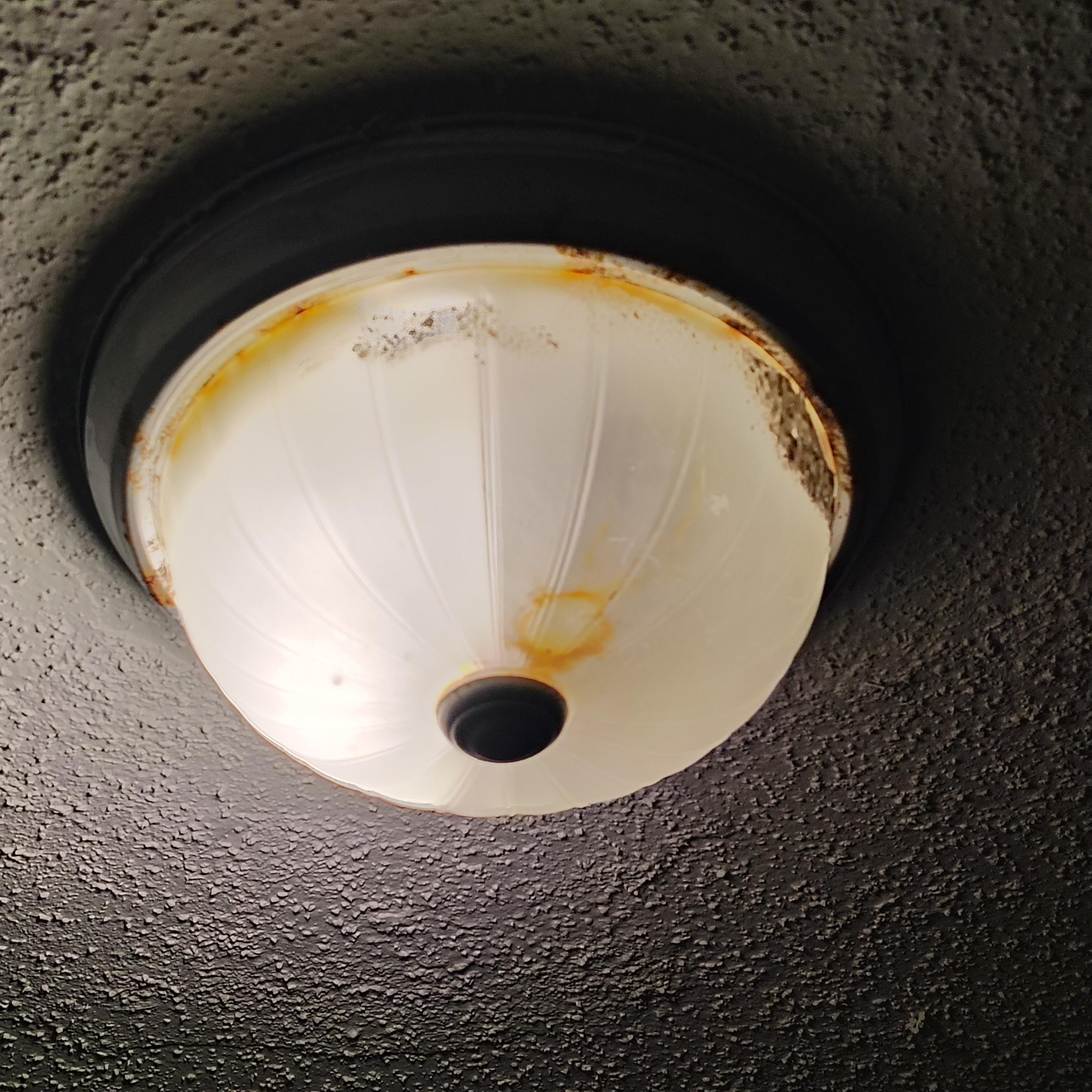 Moldy light fixtures