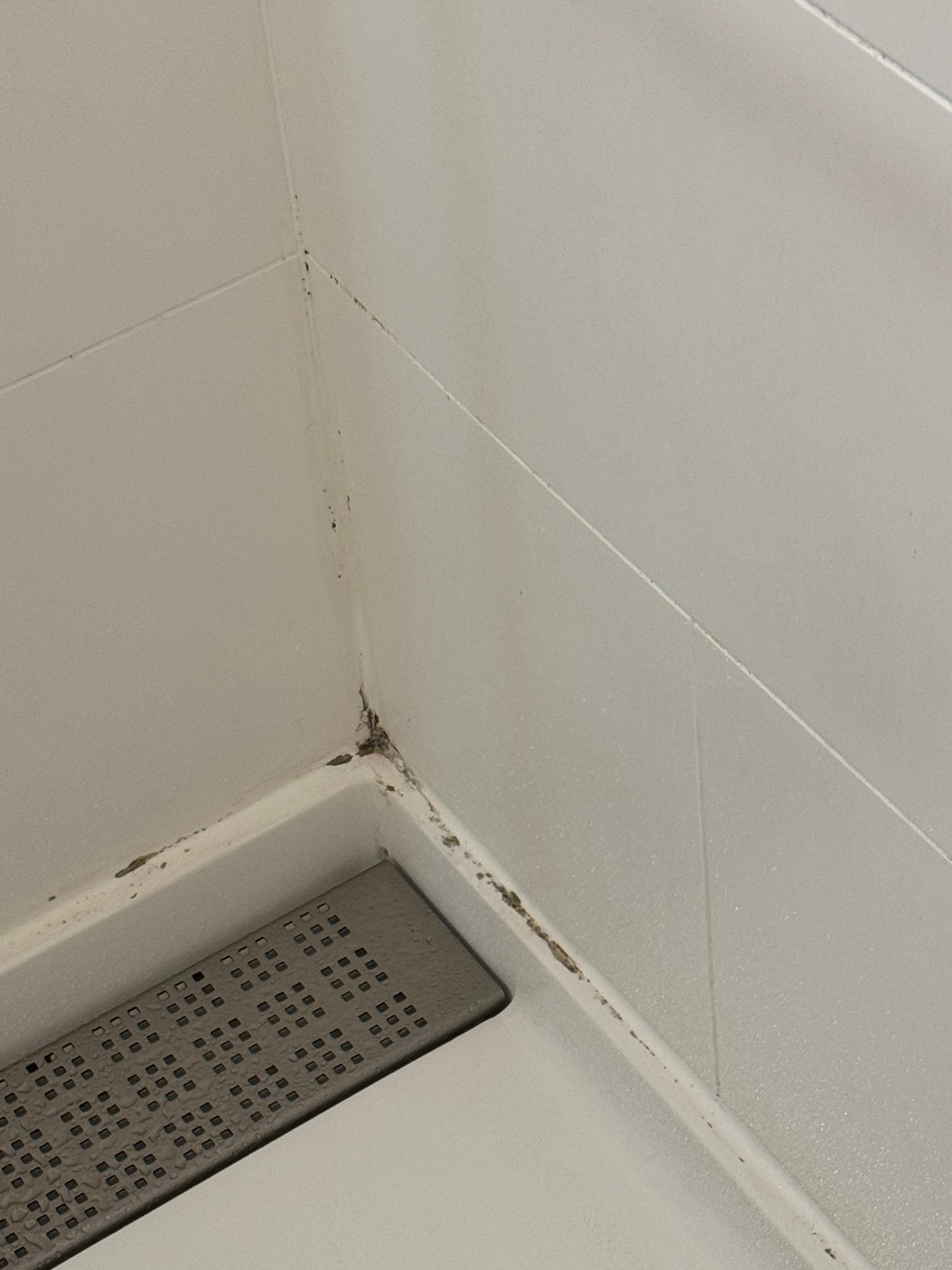 Literally black grime in corner