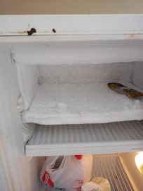 Faltam a porta do congelador e a tampa da gaveta de verduras/frutas