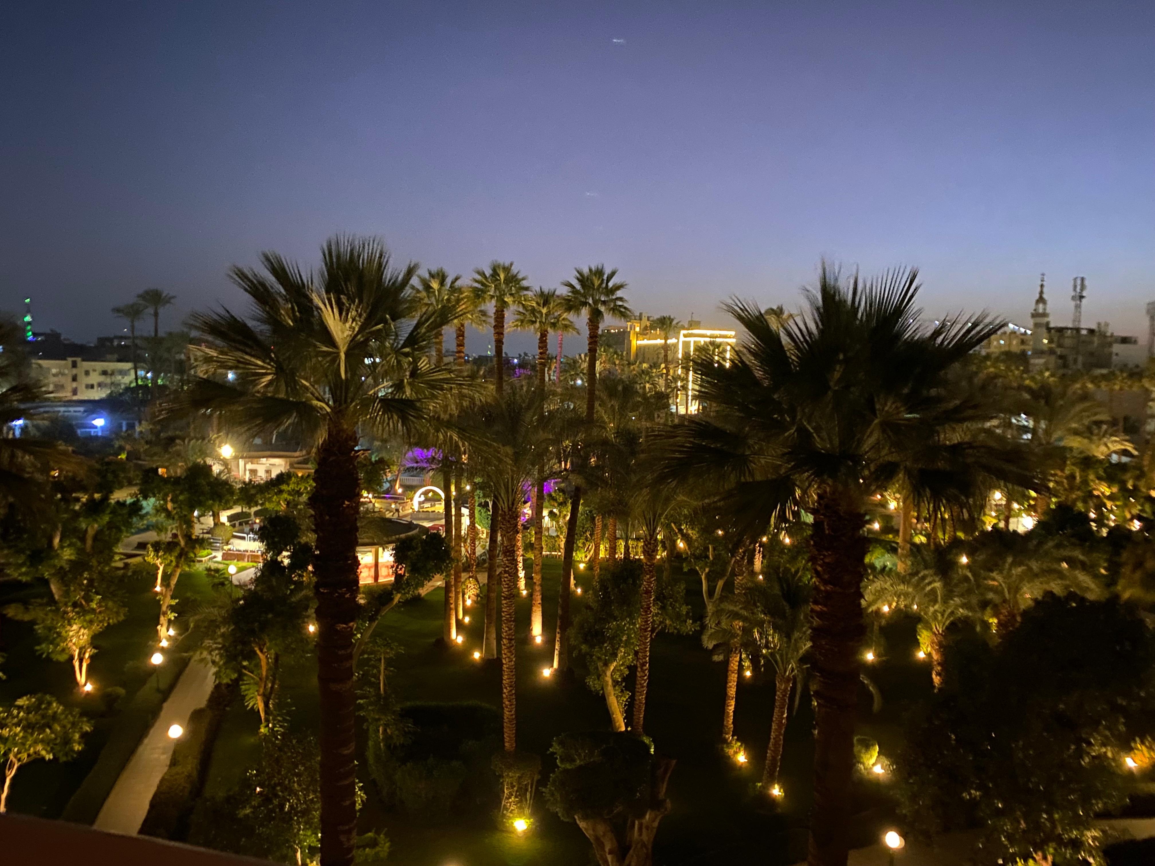 Garden view from our room