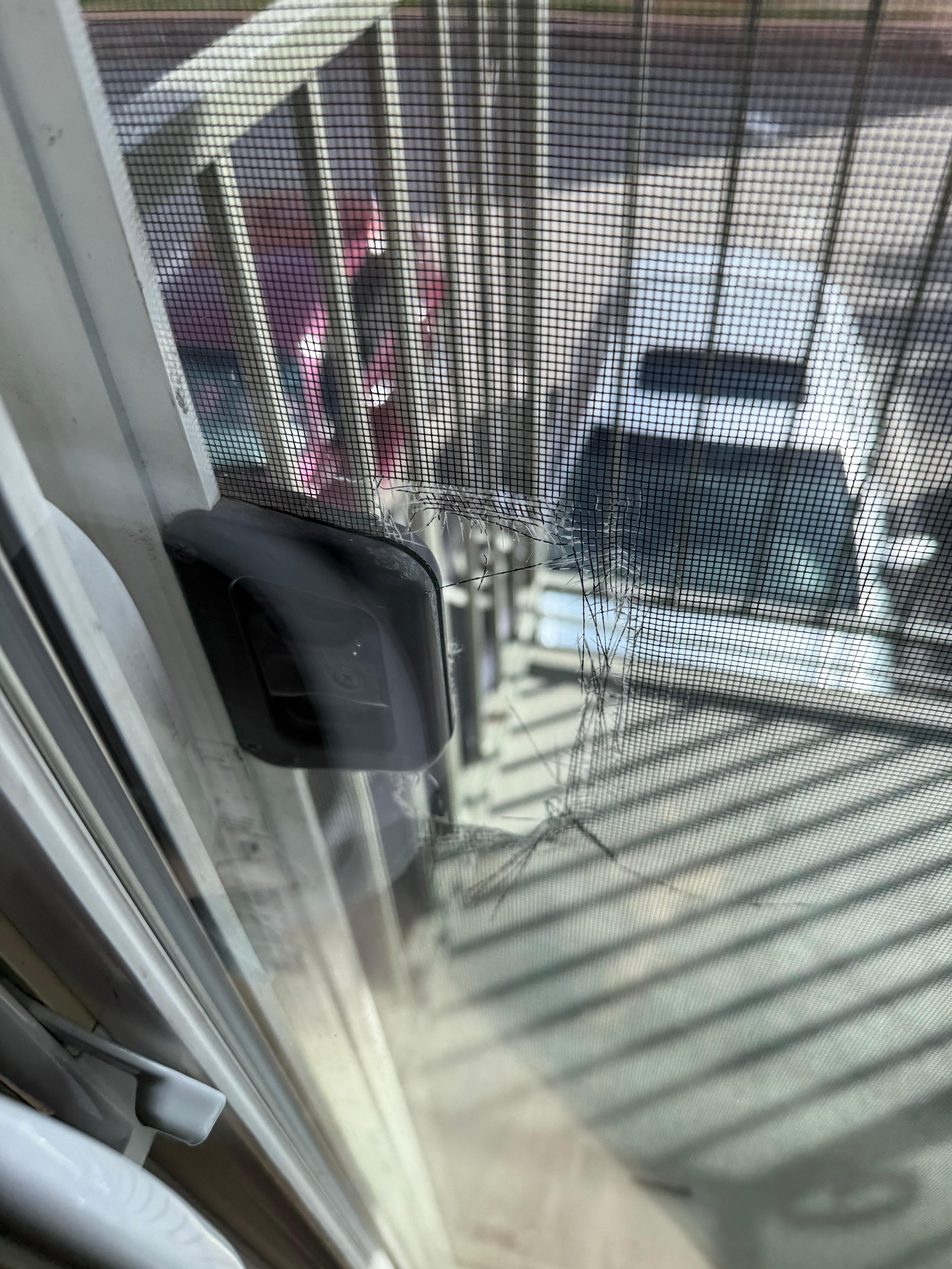 Holey screen door to balcony 