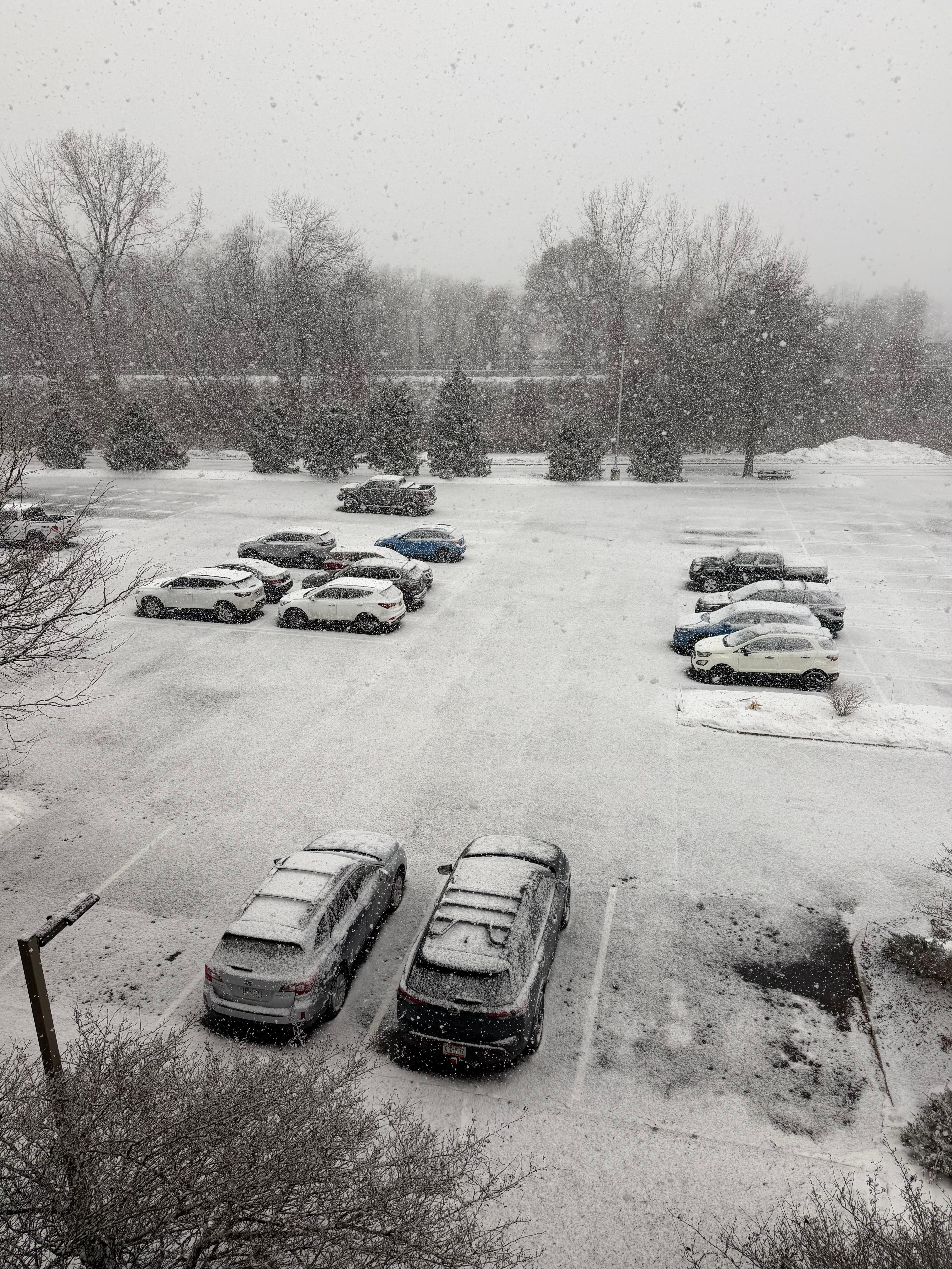 It’s winter in Albany! This is shot from the 4th floor.