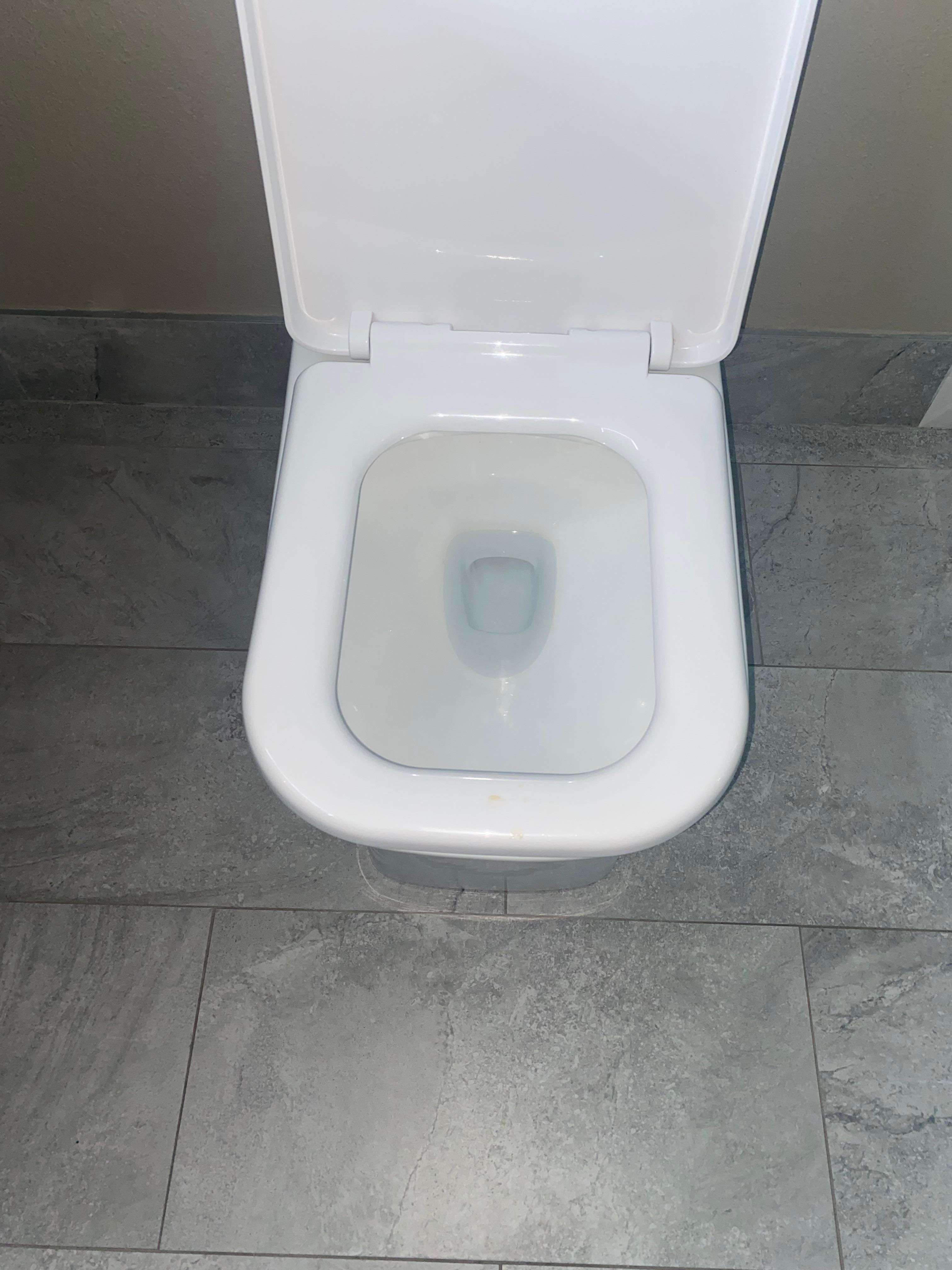 Pee drips on toilet seat