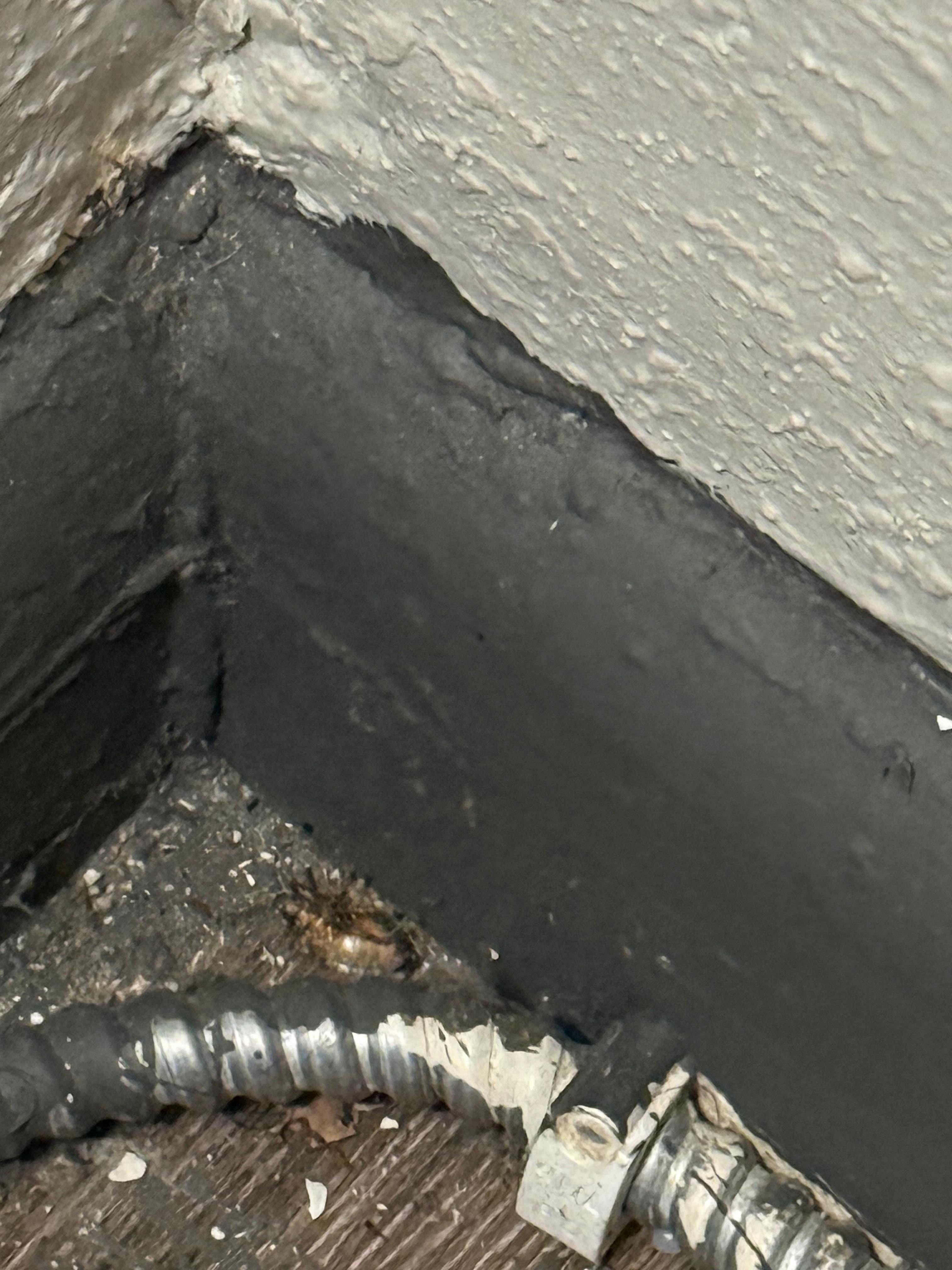 The bugs was in different parts of the room and coming from the curtains 