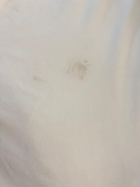 Stains on the sheets on both beds and on the duvet/blanket/top cover