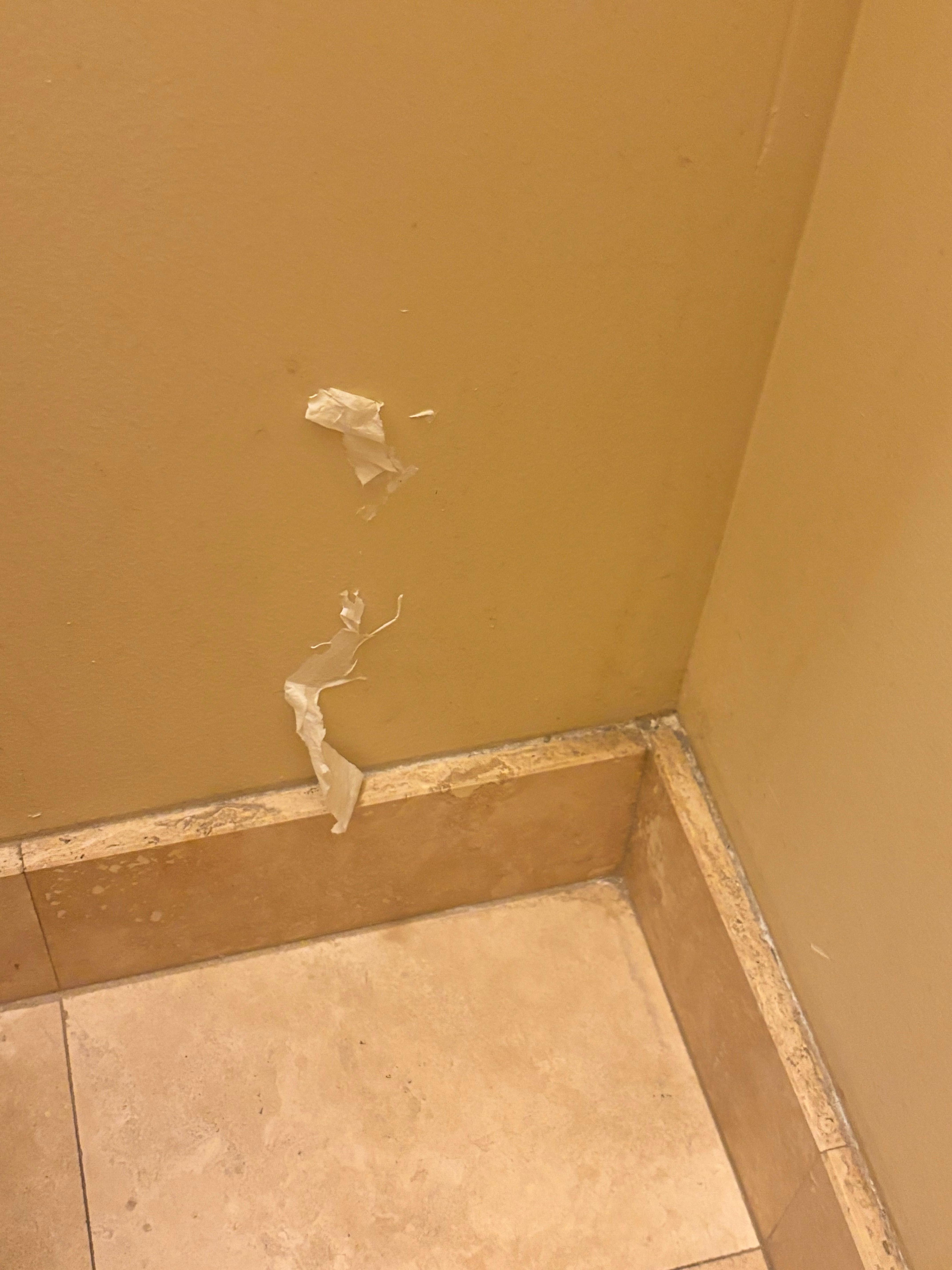 Toilet paper stuck to wall upon arrival 