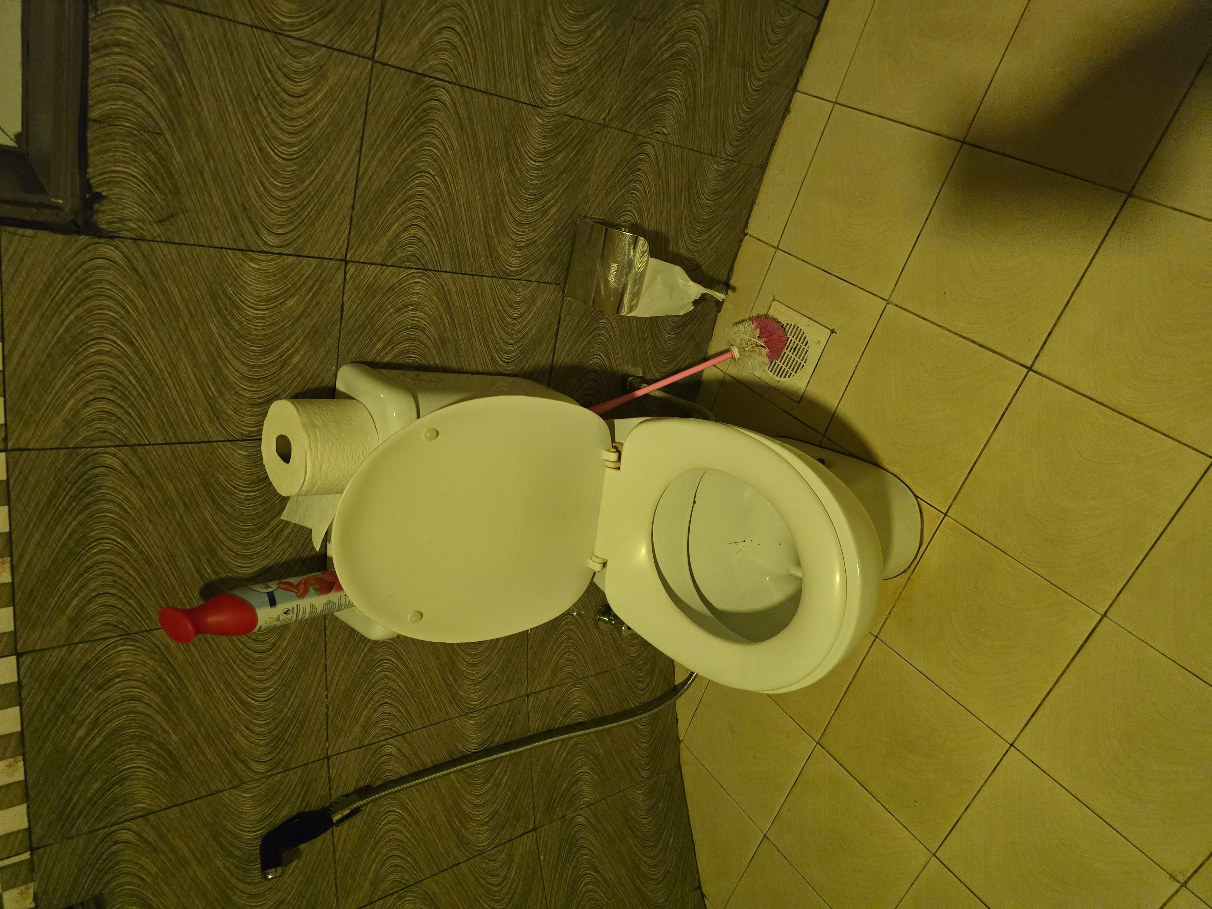 Toilet paper almost on the floor. No place to set toiletries or towles!
