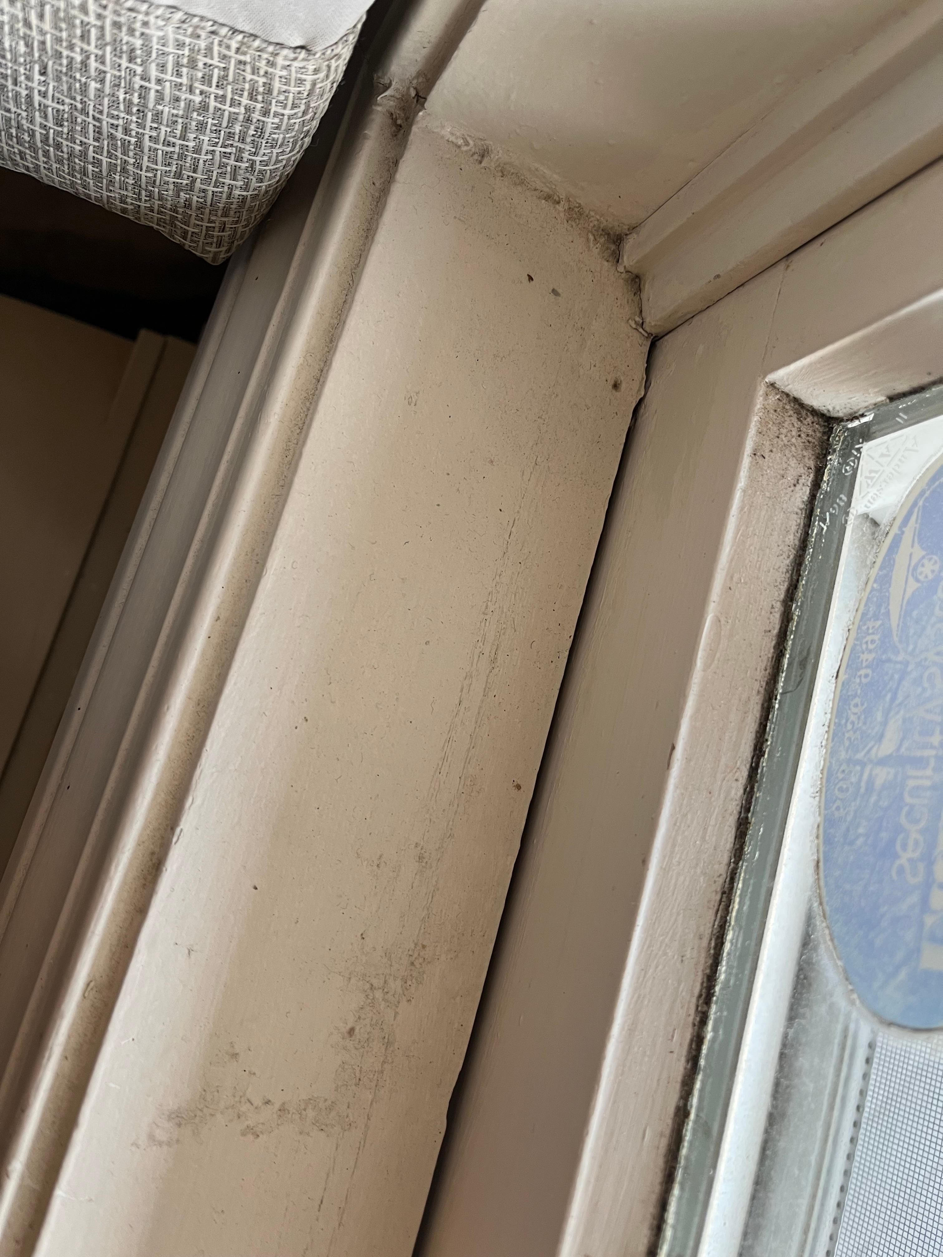 This was the window sill