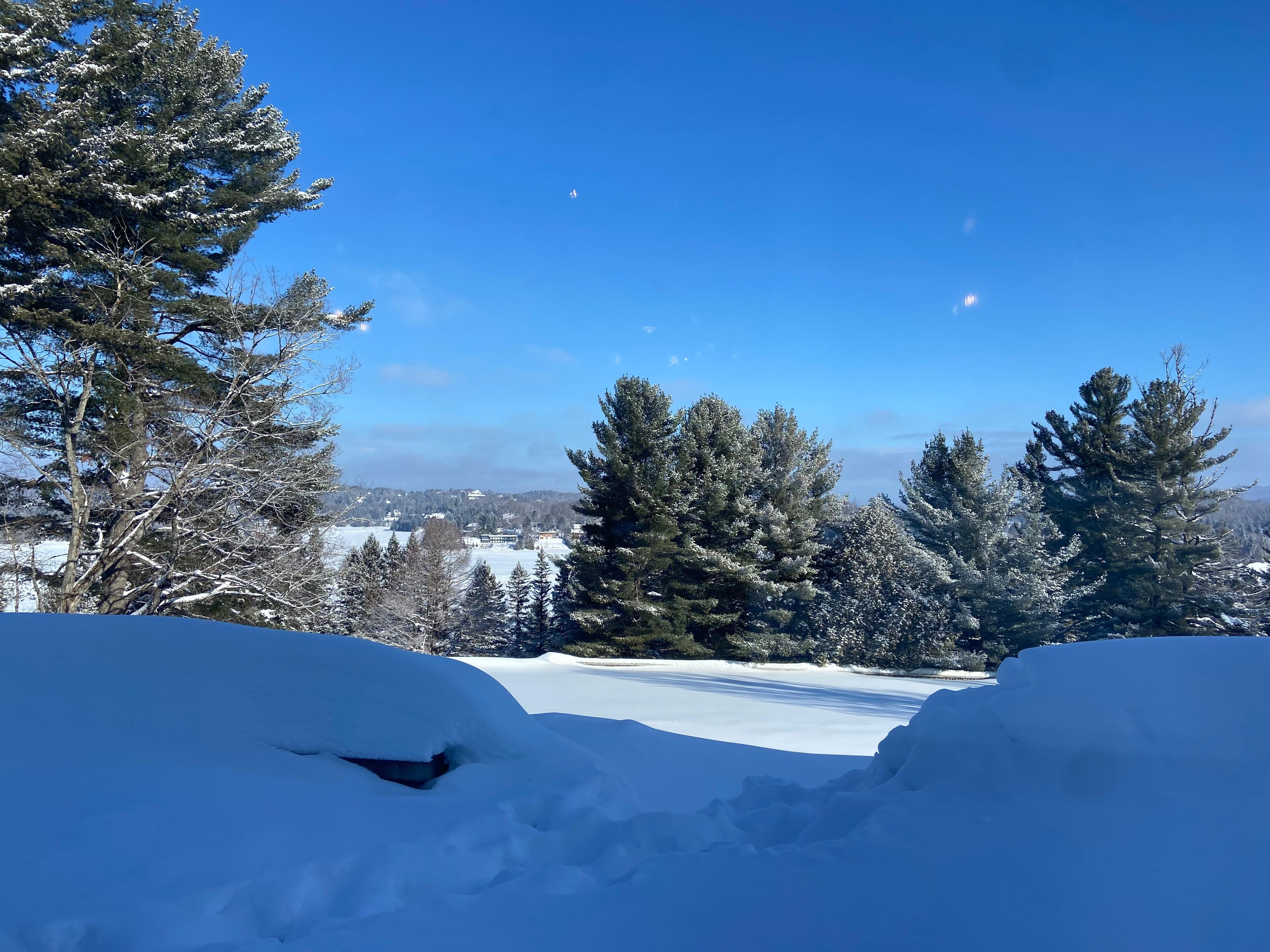 View out dining room window. 