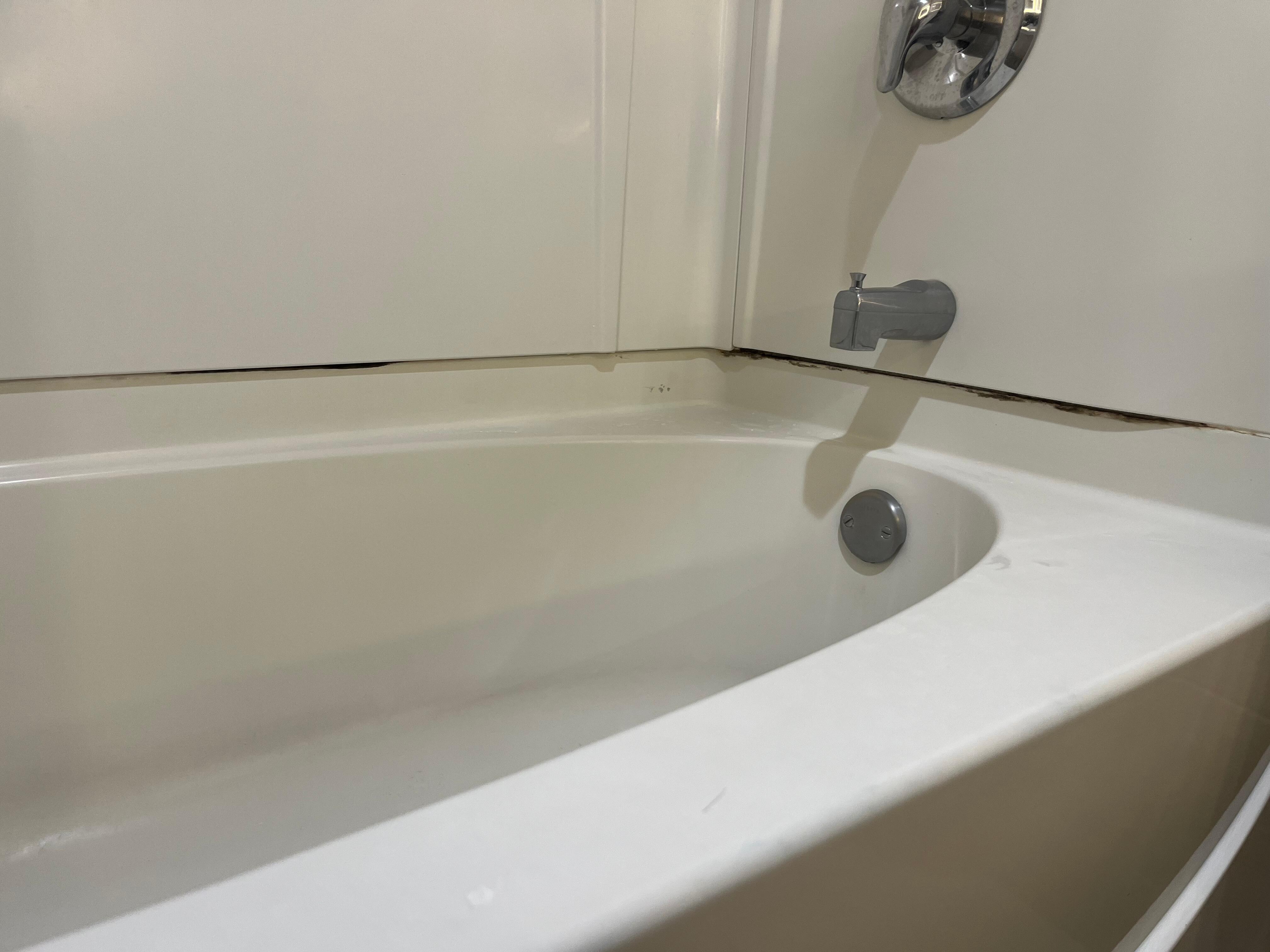 The mold underneath