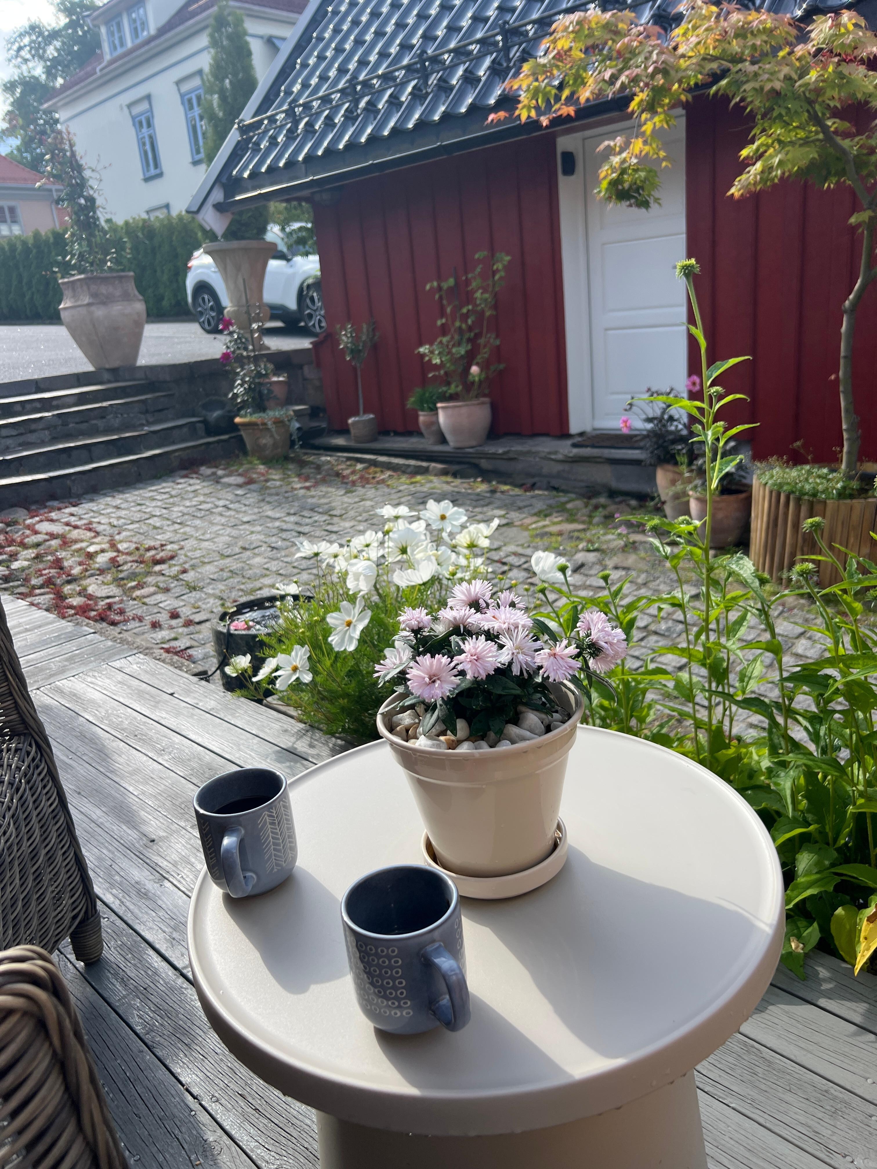 Nydelig uteplass🌸masse vakre blomster🌺