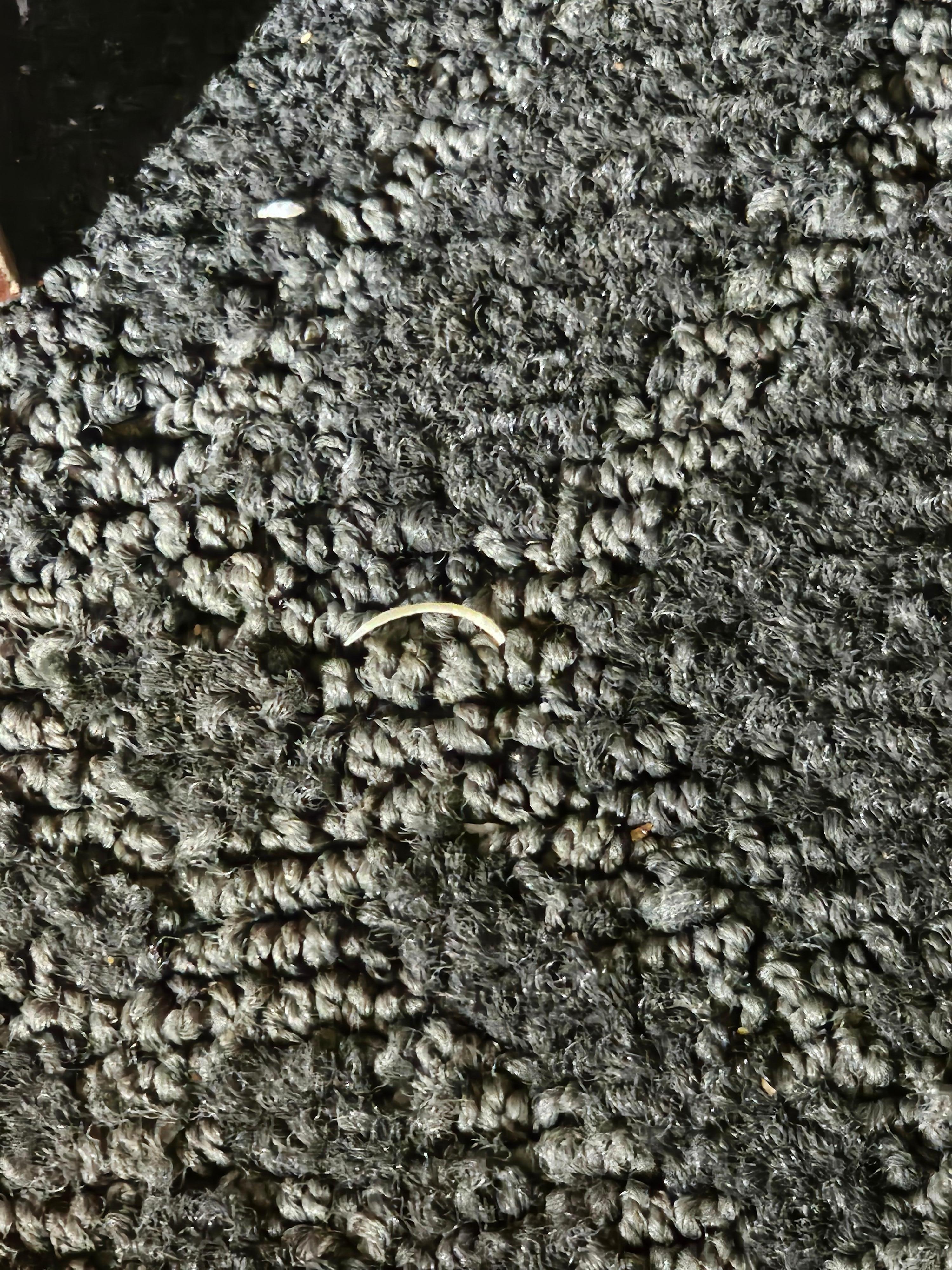 Toe nail clippings by the bedside table 