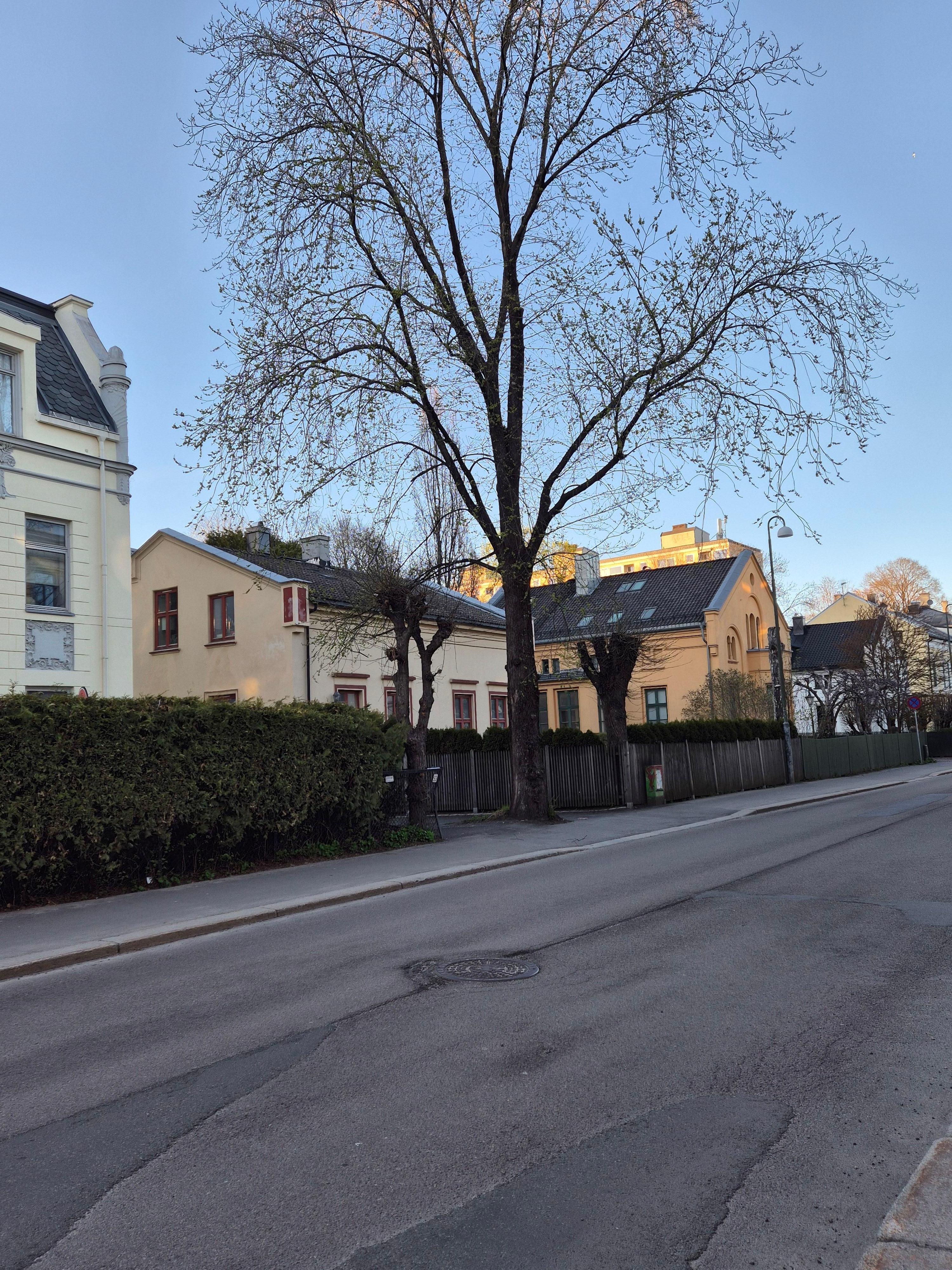 Josefinesgate, Homansbyen.
Unike villaer