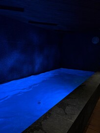Piscine du spa