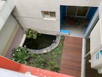 中庭