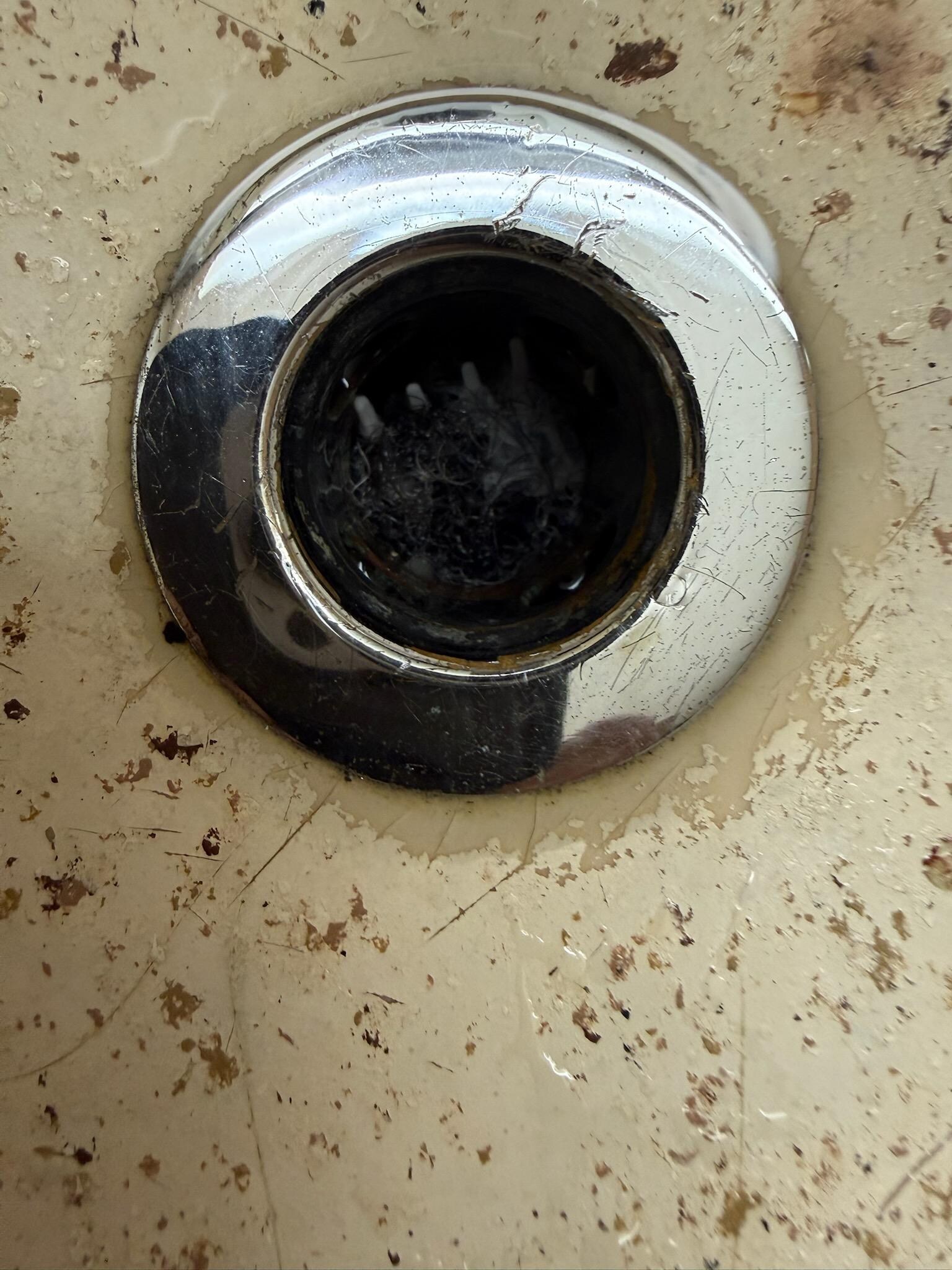 Pubic and/or facial hair in tub, no stopper; 