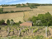 La Cote Mont Damne - magic spot for winemaking