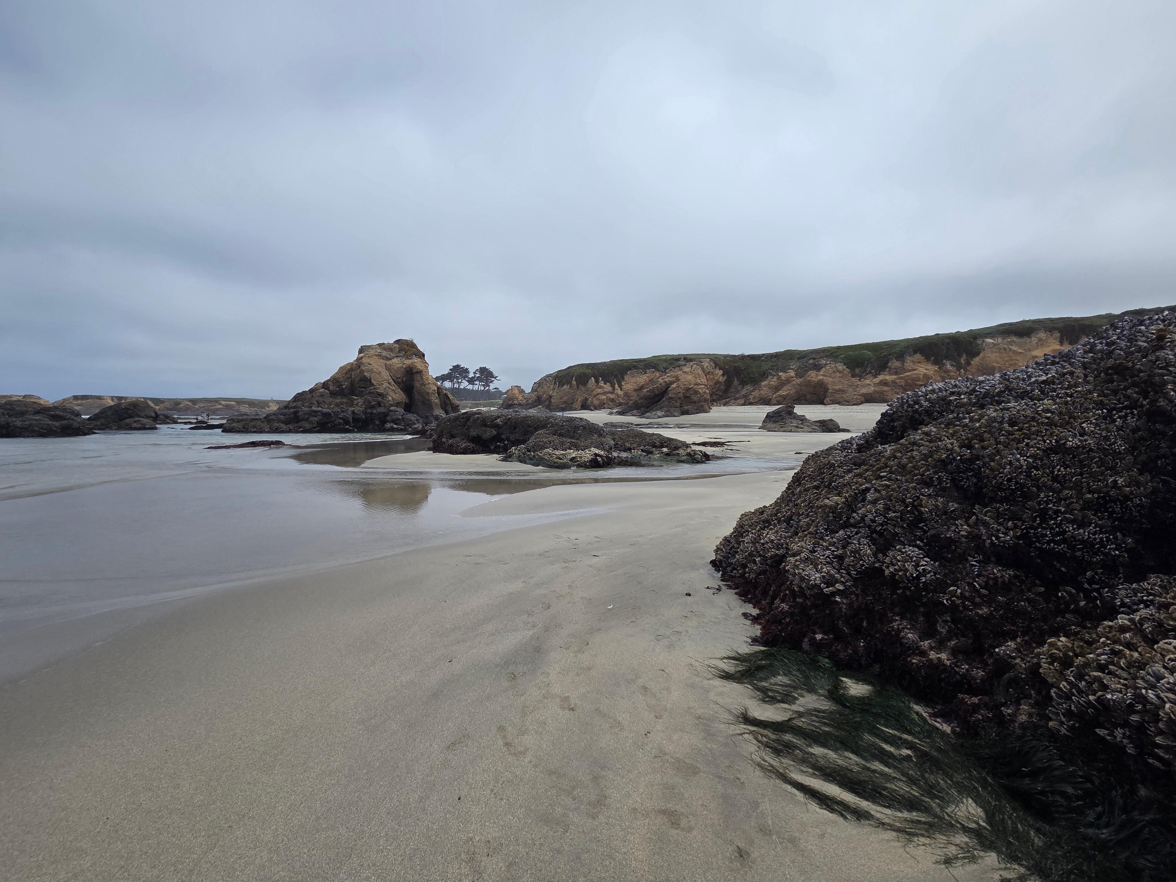 Beach walk at low tide