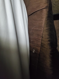 Hair on boxspring cover