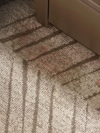 Stain on carpeting.