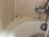 Bathroom mould