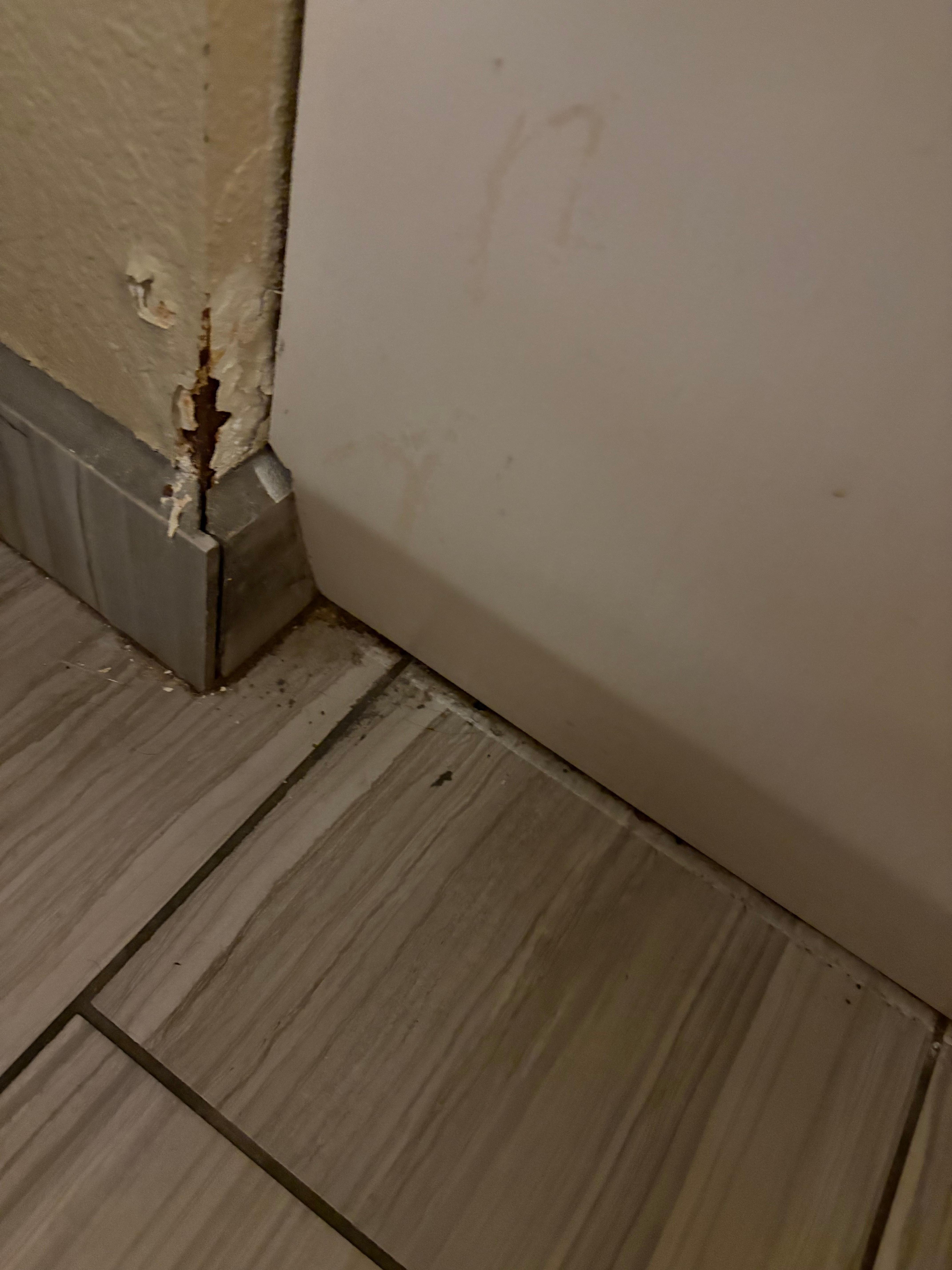 Mold on wall, water leak 