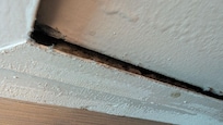 Loud AC with mold