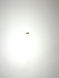 Had roaches BAD had to spray room or get a refund that would take too long to get back