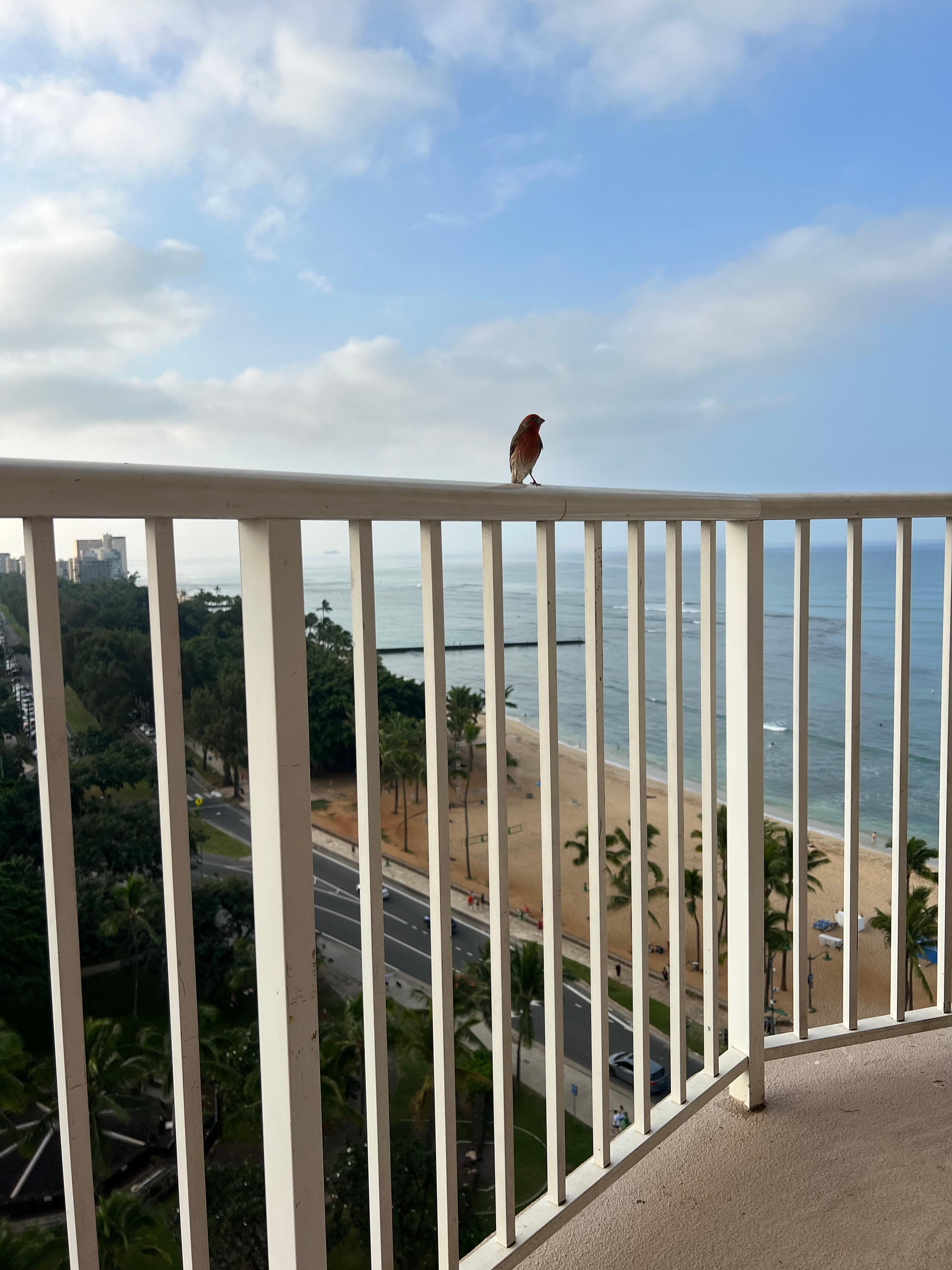 Birds Eye view! Super location from the beach!