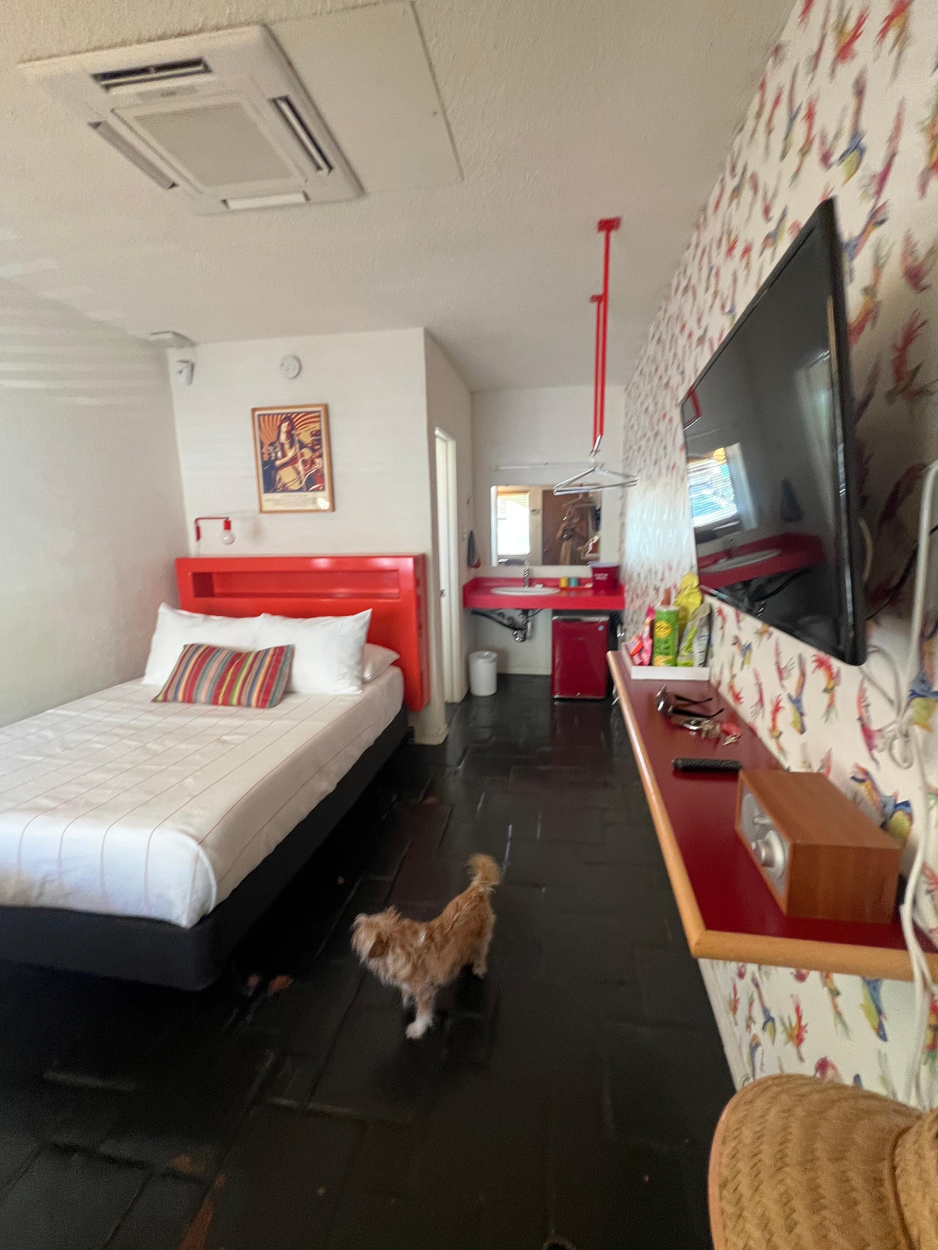Book Austin Motel in Austin | Hotels.com