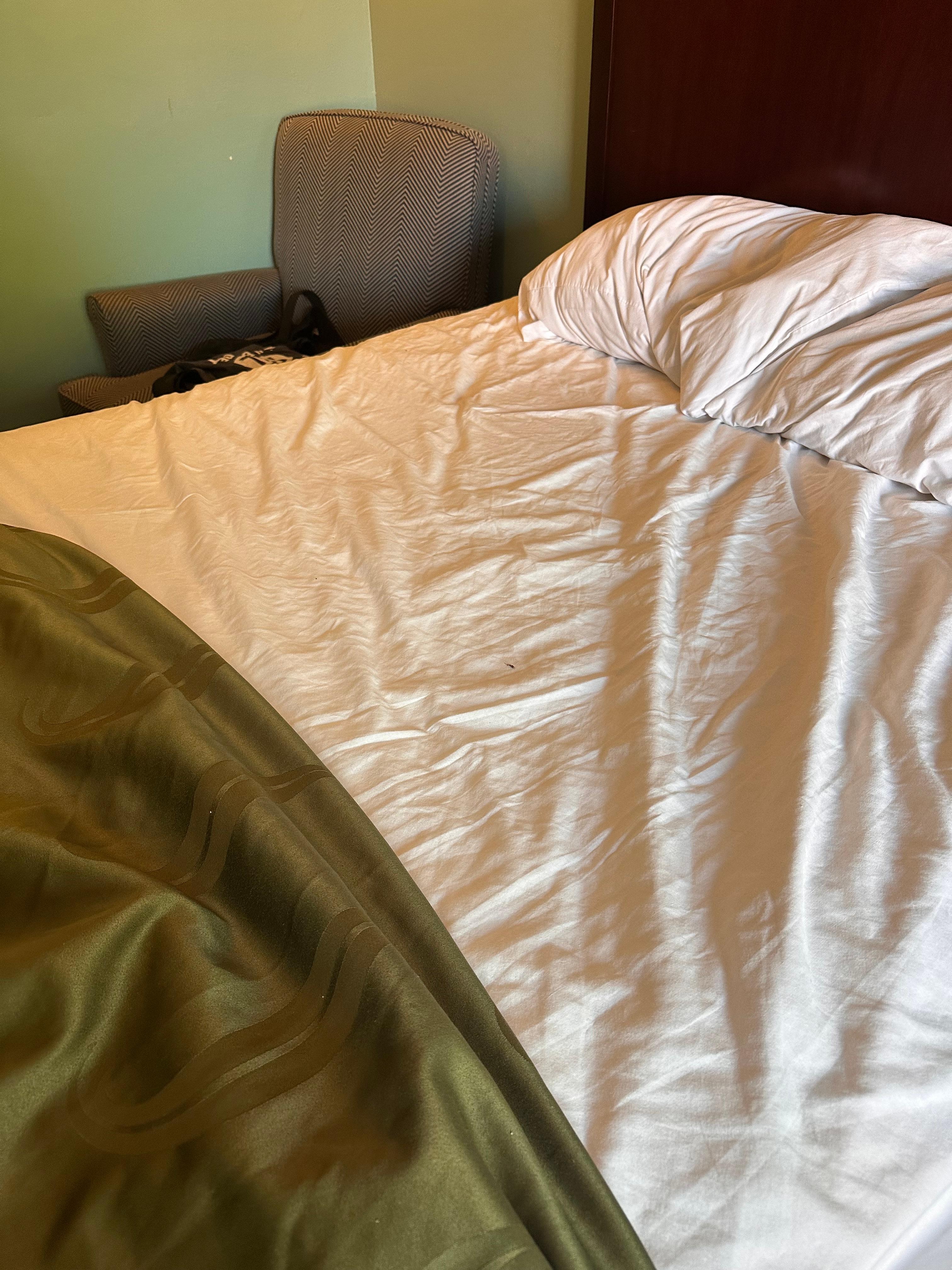 No blanket or top sheet