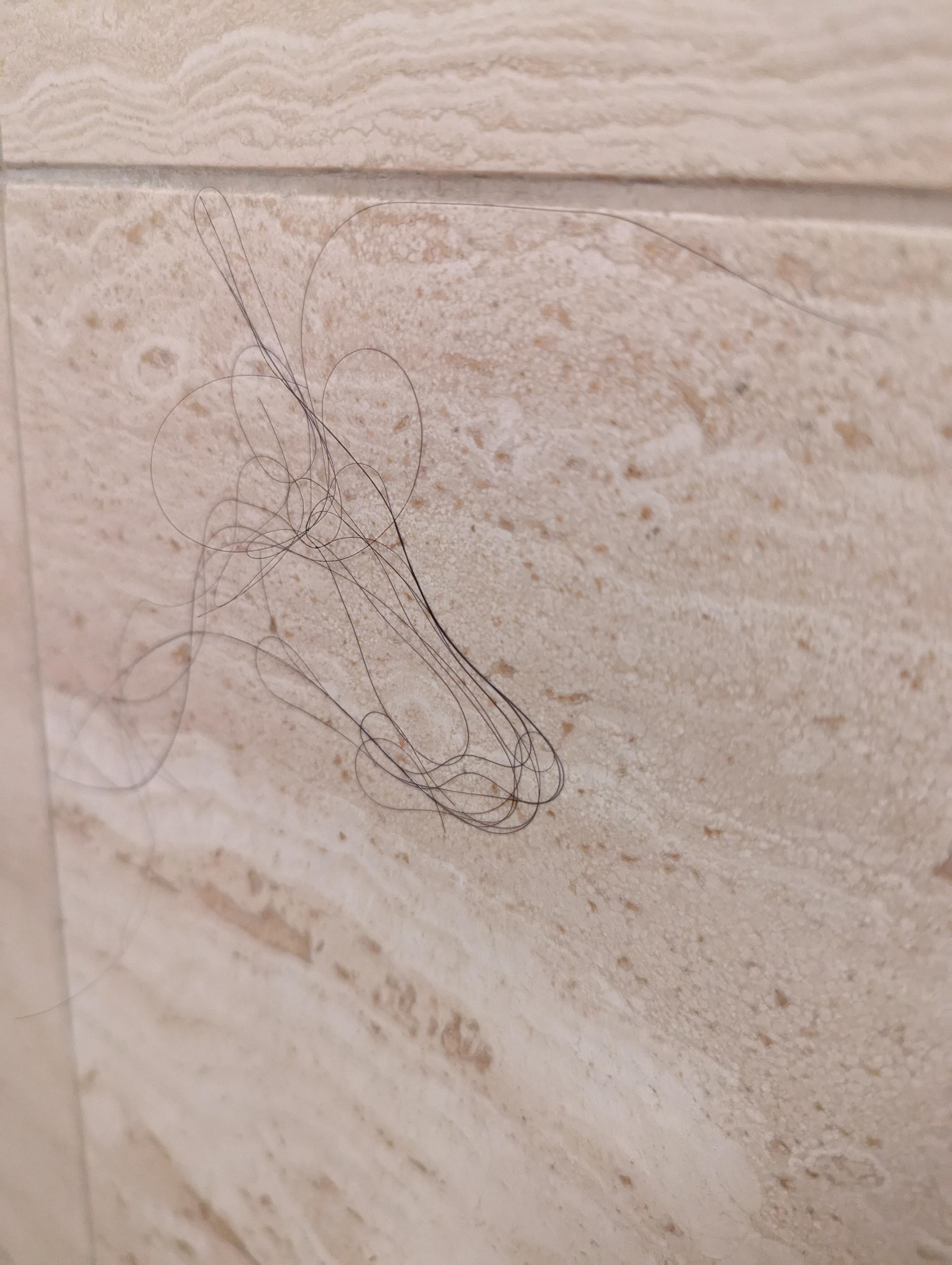 Shower wall