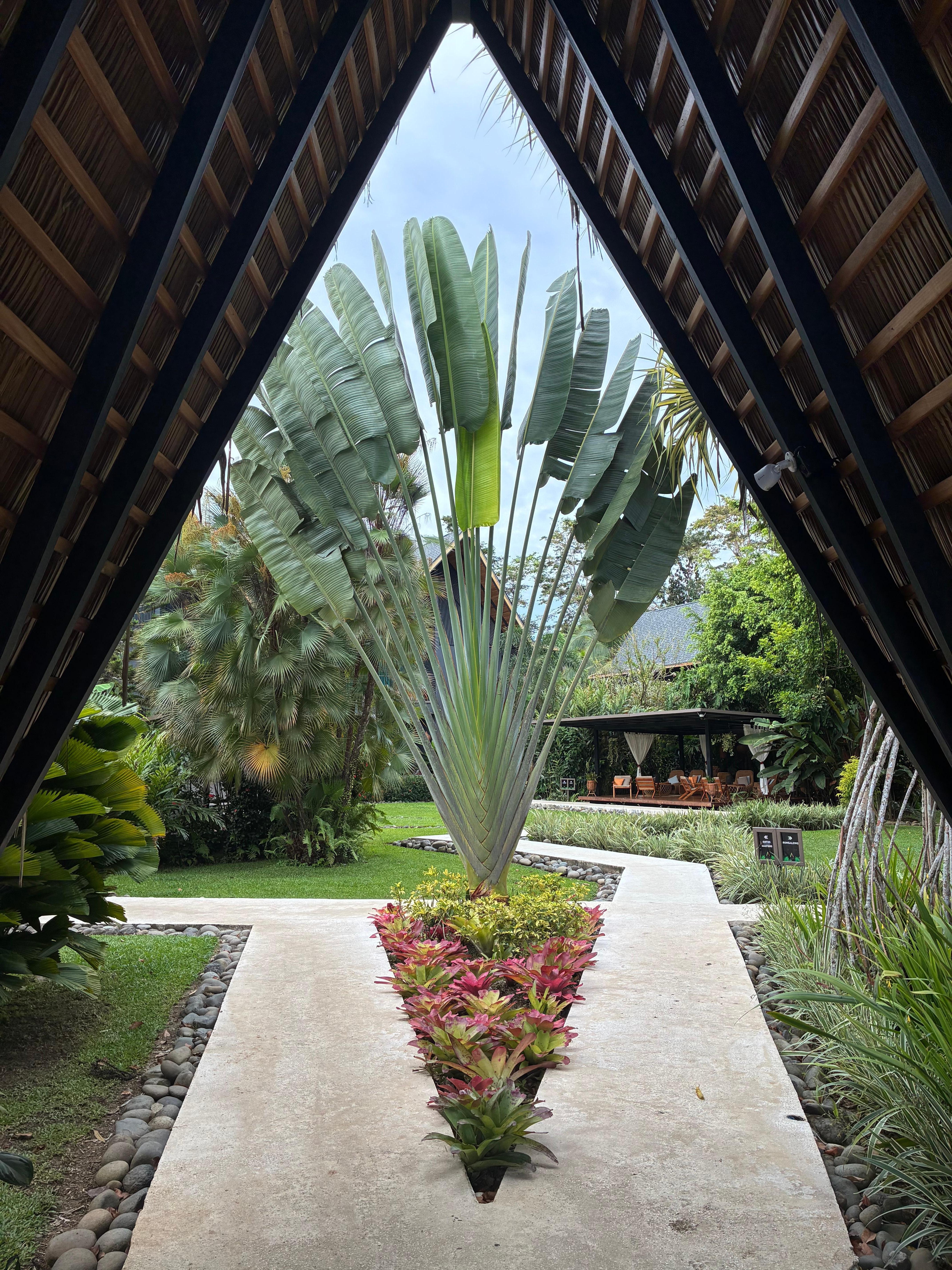 Entrance view to property 