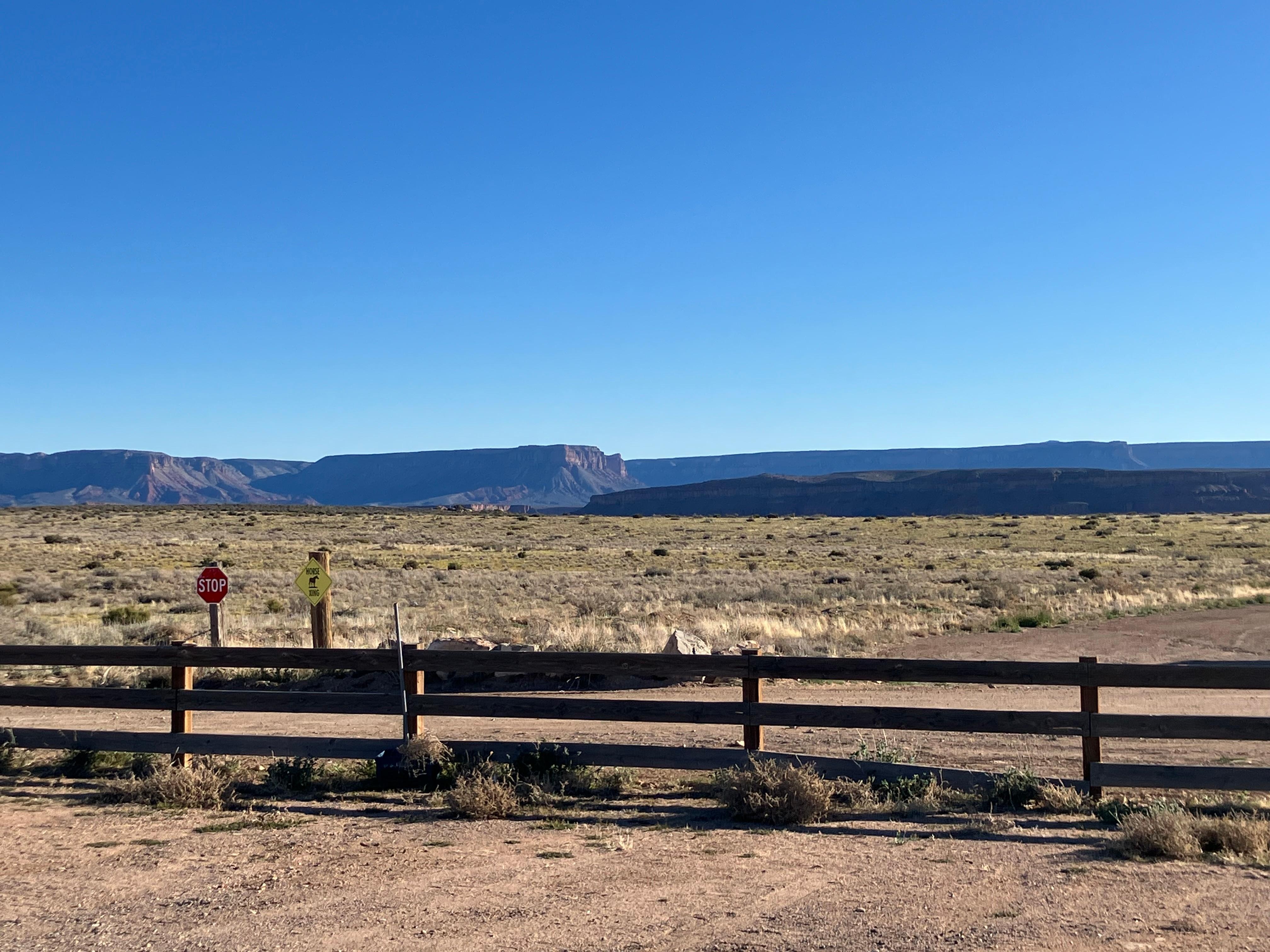 Peaceful, natural beauty. 