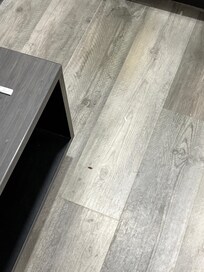 Zoom in to see the roaches, outside the bathroom.