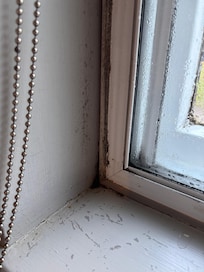 Unhealthy damp and mould